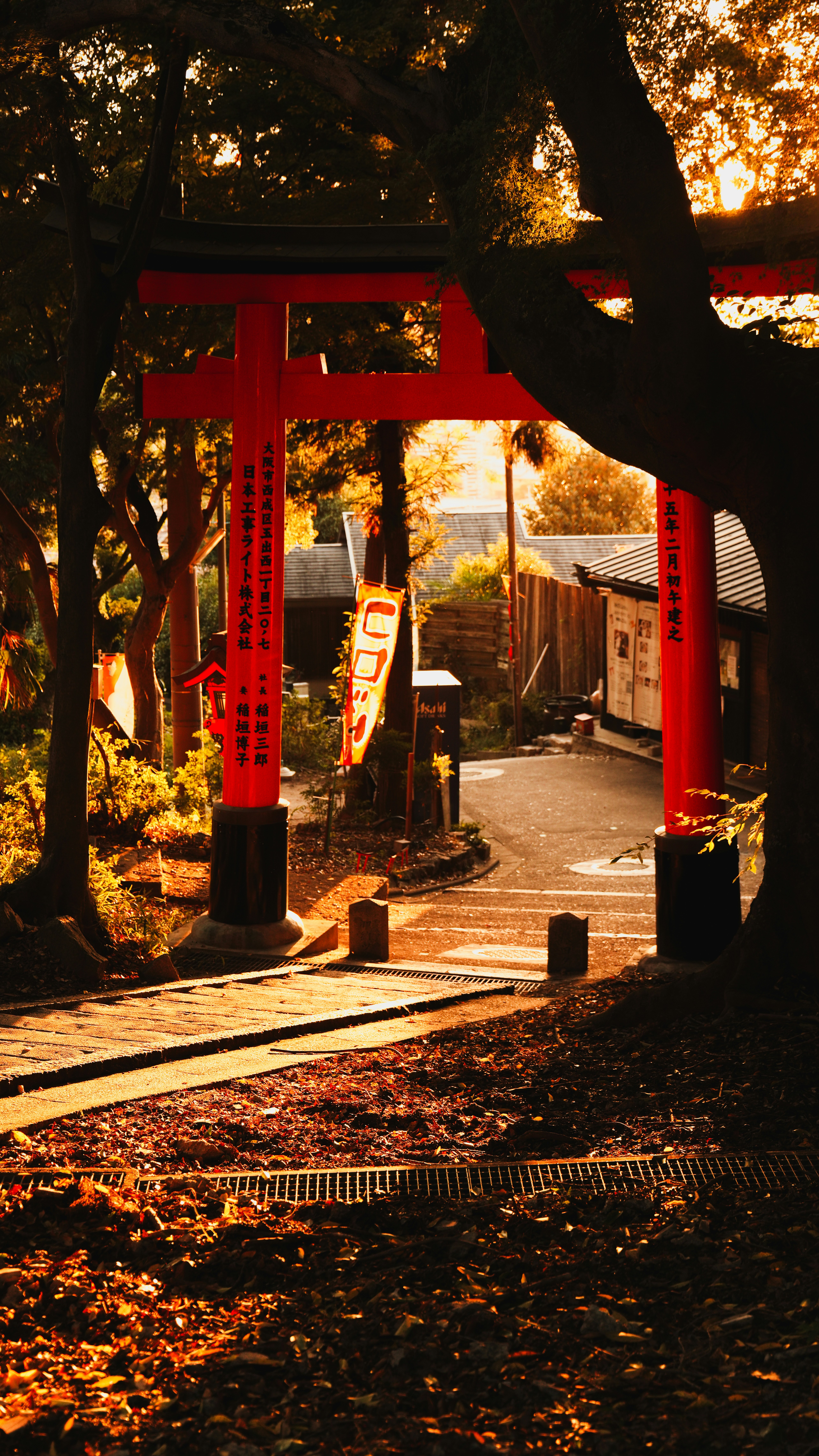 Crimson Torii Gate Framing a Quiet Autumn Path at Dusk