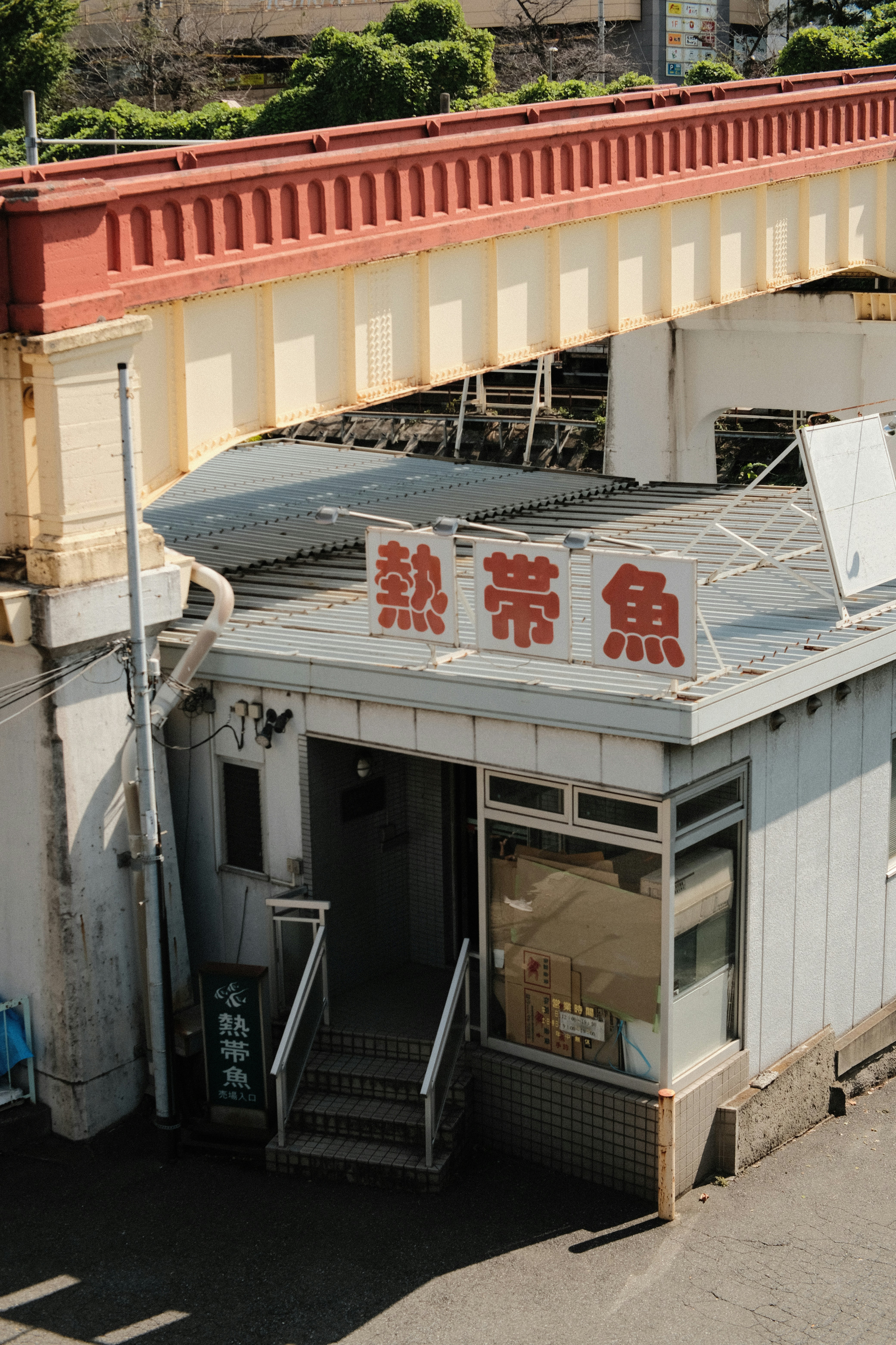 Building under a bridge in Tokyo, Japan. October 2023.