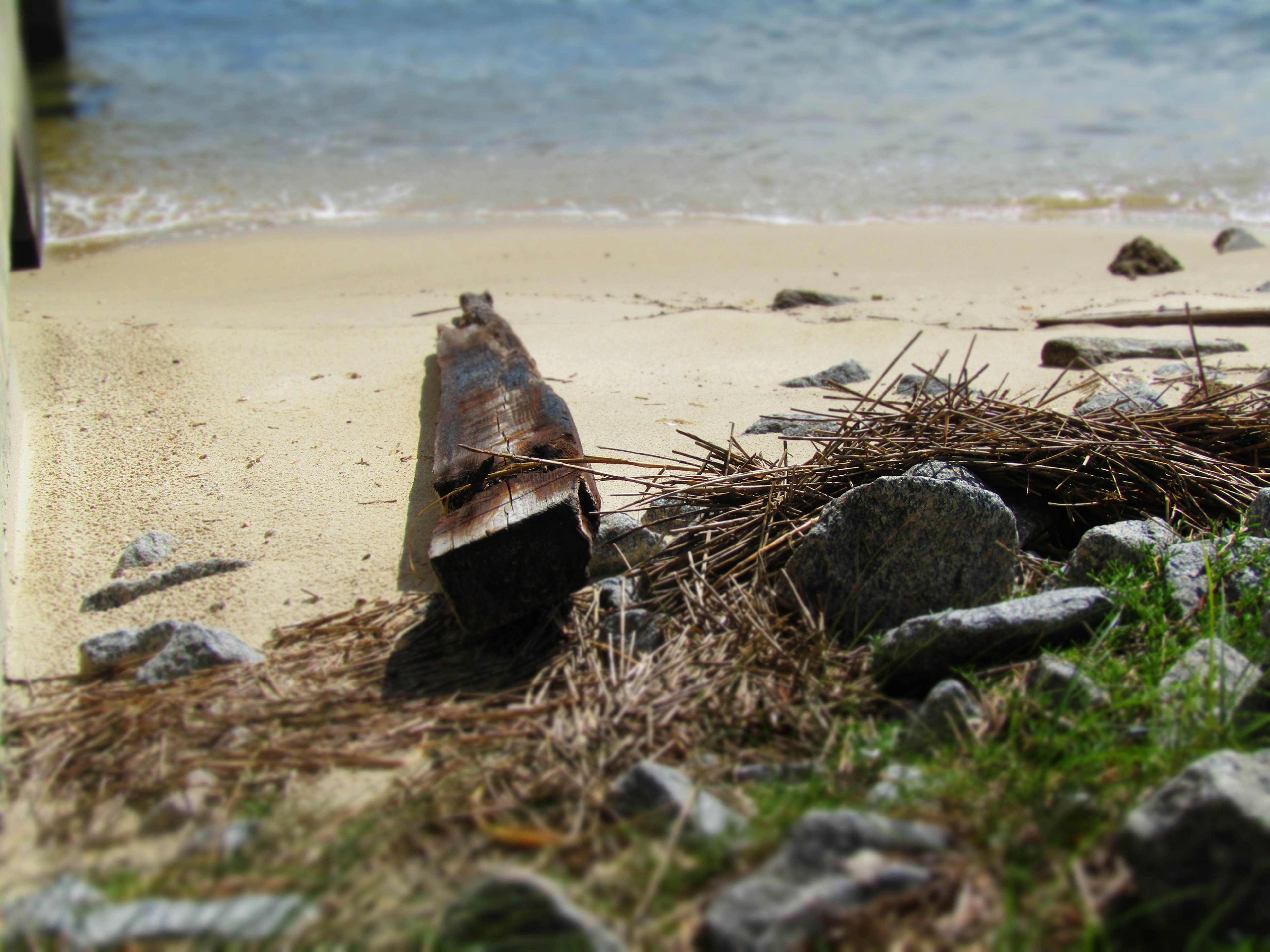 Weathered driftwood rests among pebbles and tangled seaweed on a sunlit beach, with calm blue water in the distance.