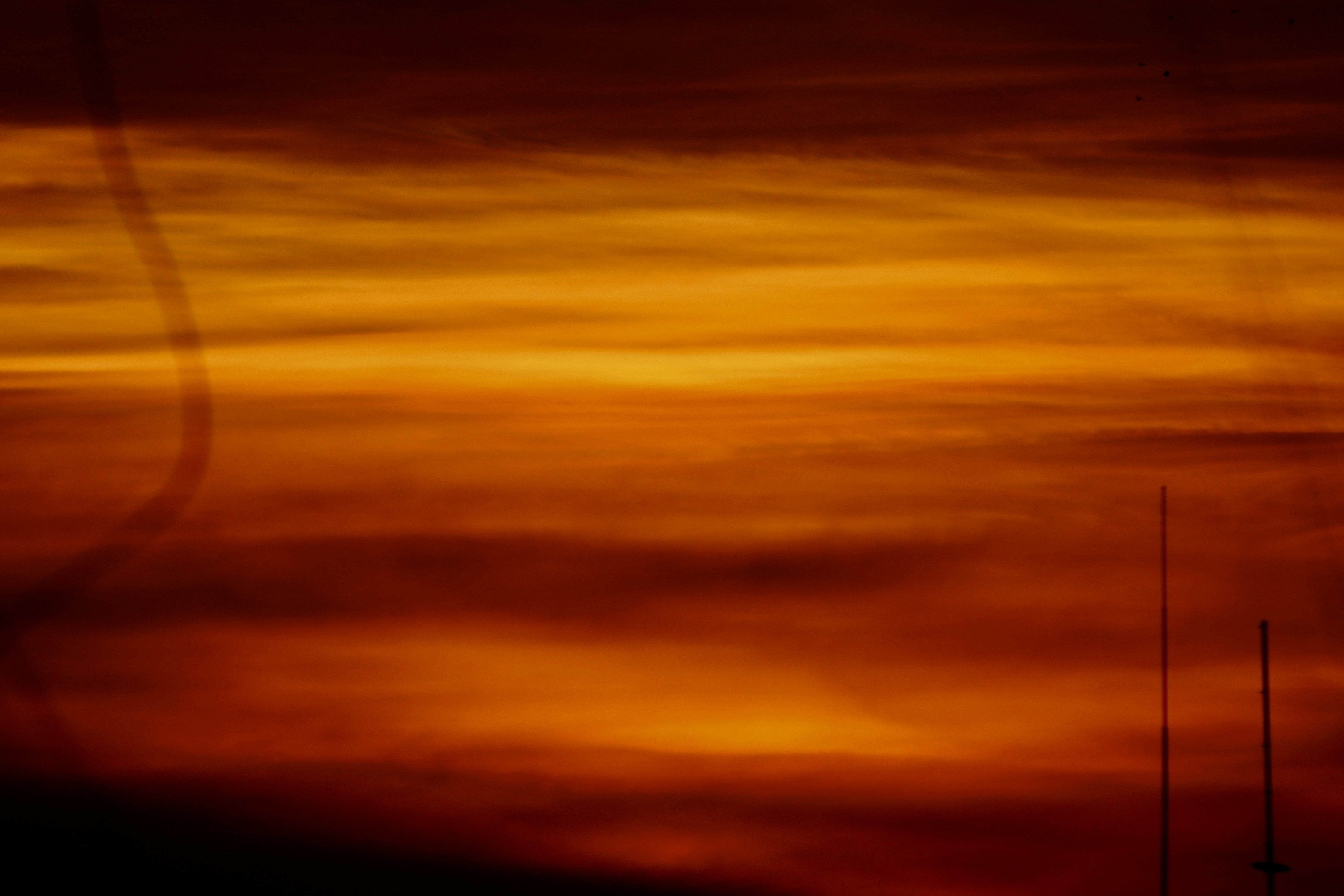 Photo by Jorge L. Valdivia with Canon EOS M50 Mark II