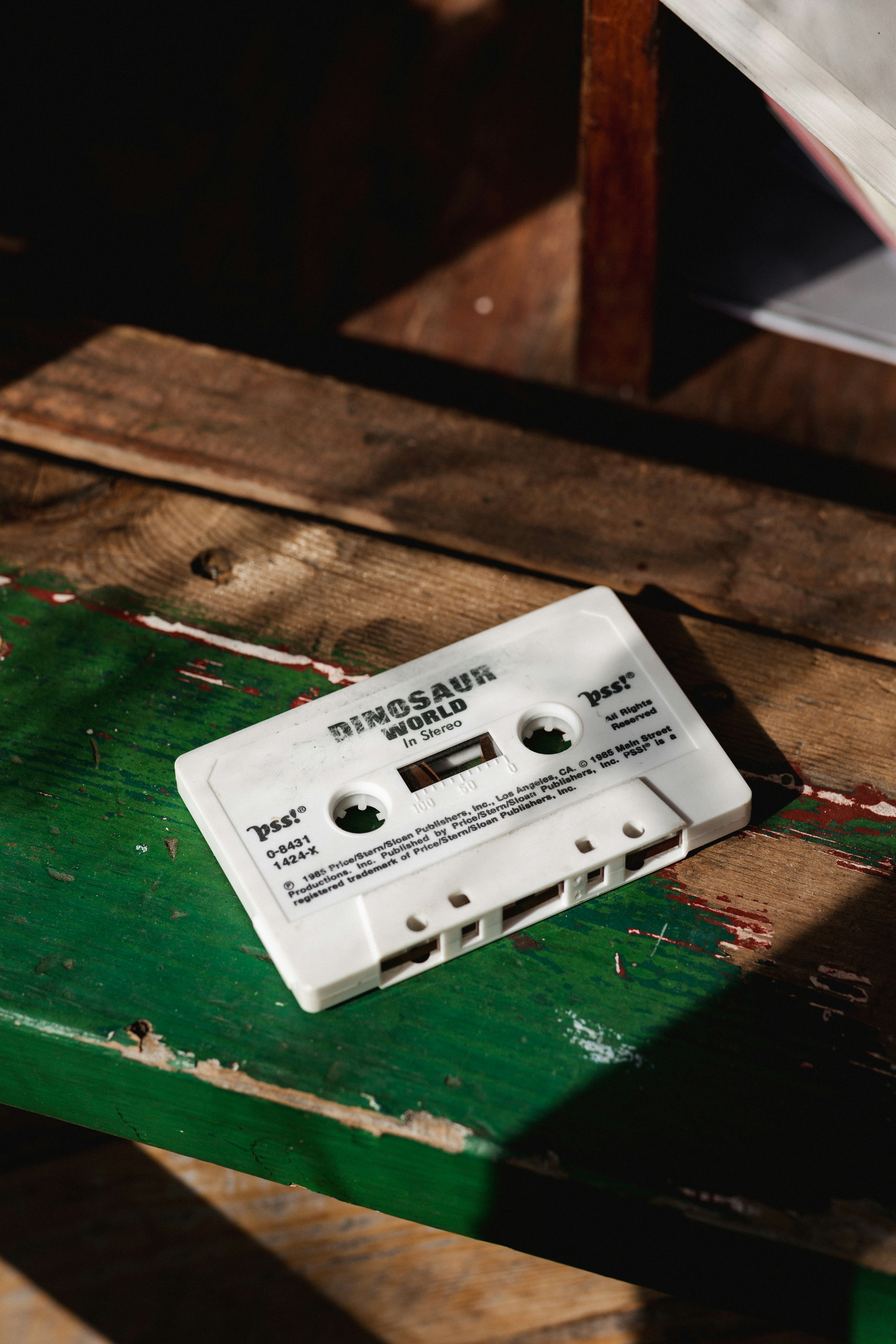 Cassette Relic on Weathered Wood: Dinosaur World in a Quiet Corner