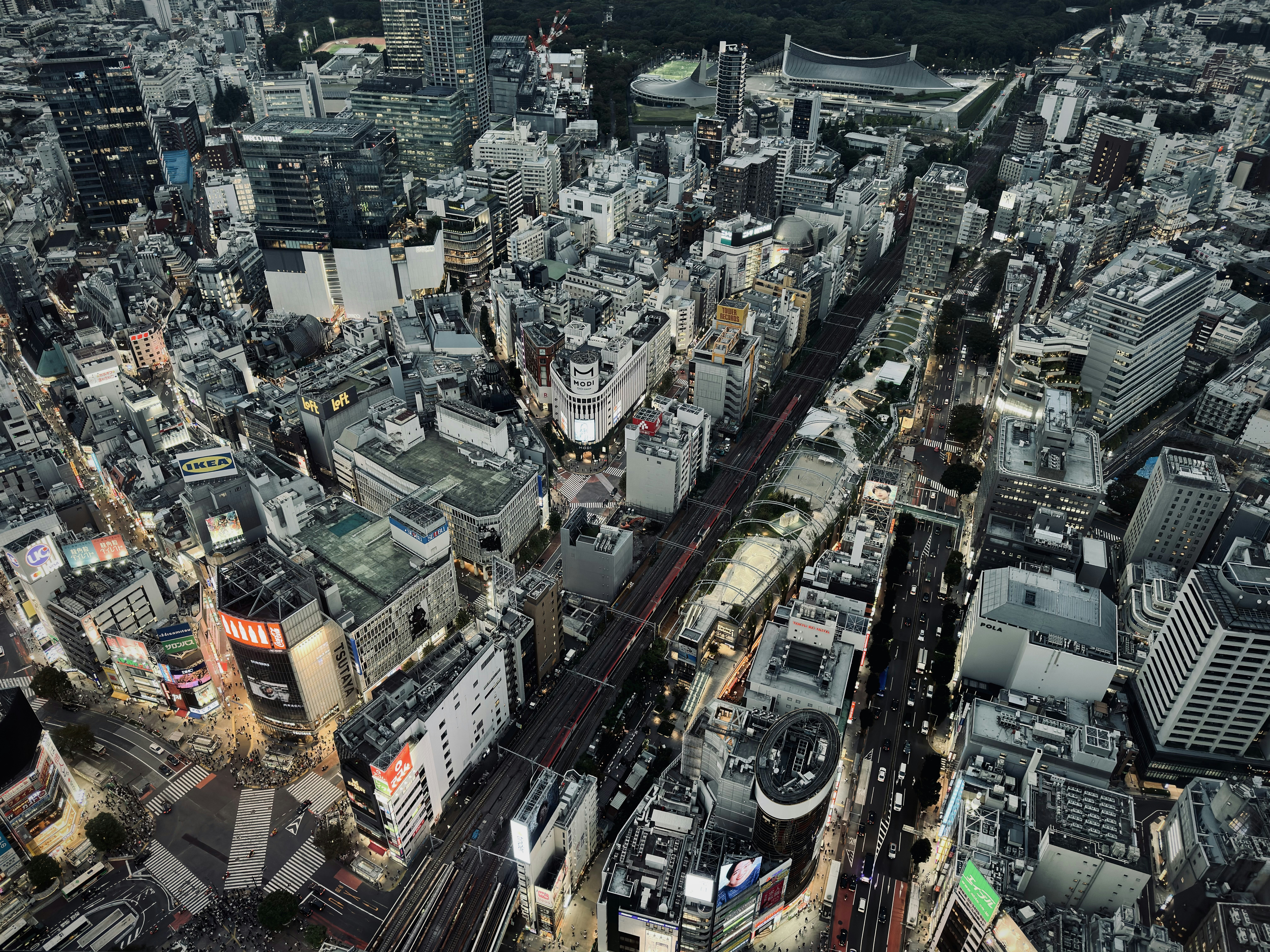 Cyclone Nez (@cycnez) | Unsplash Photo Community