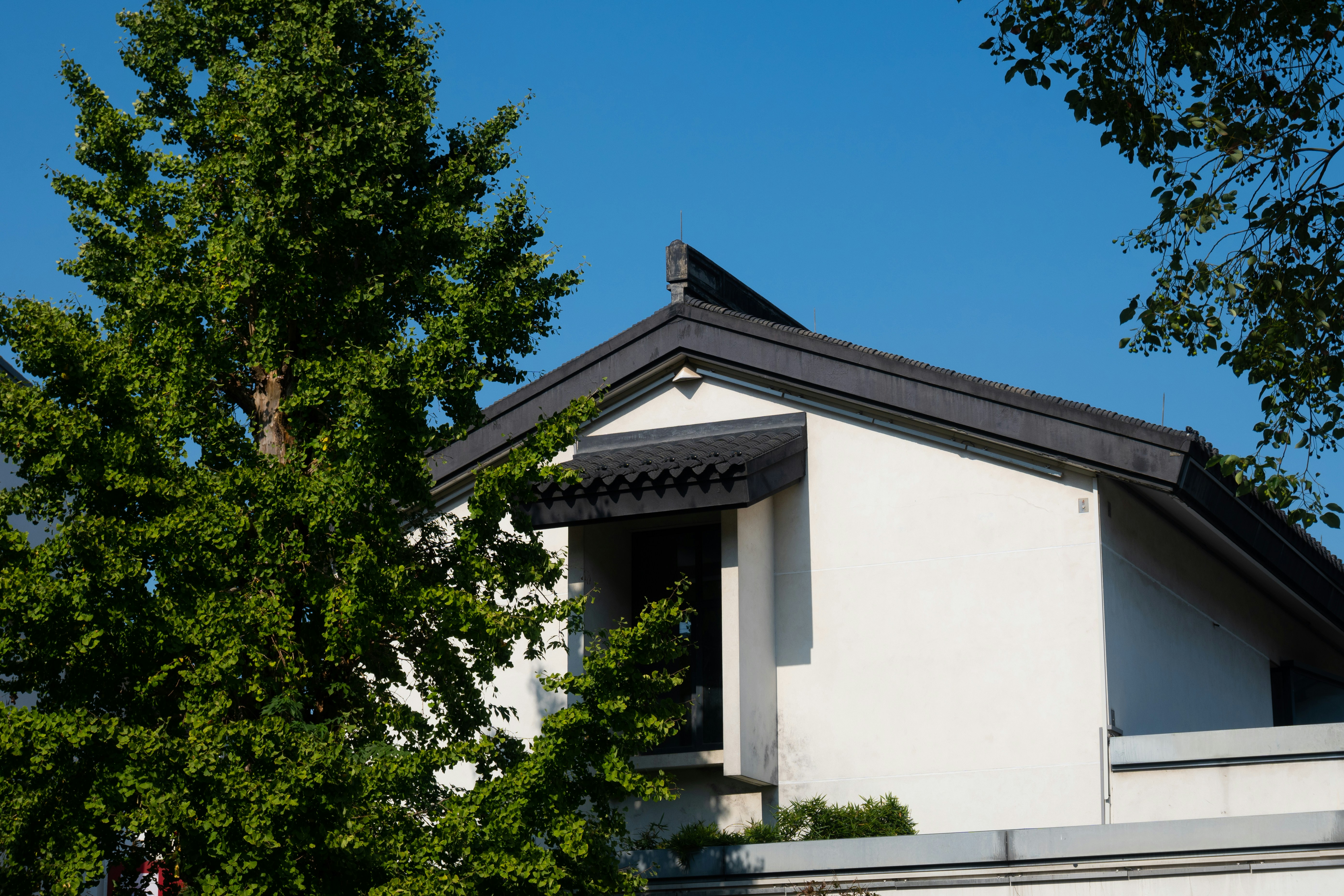 Photo by Cun Mo with Nikon Z30