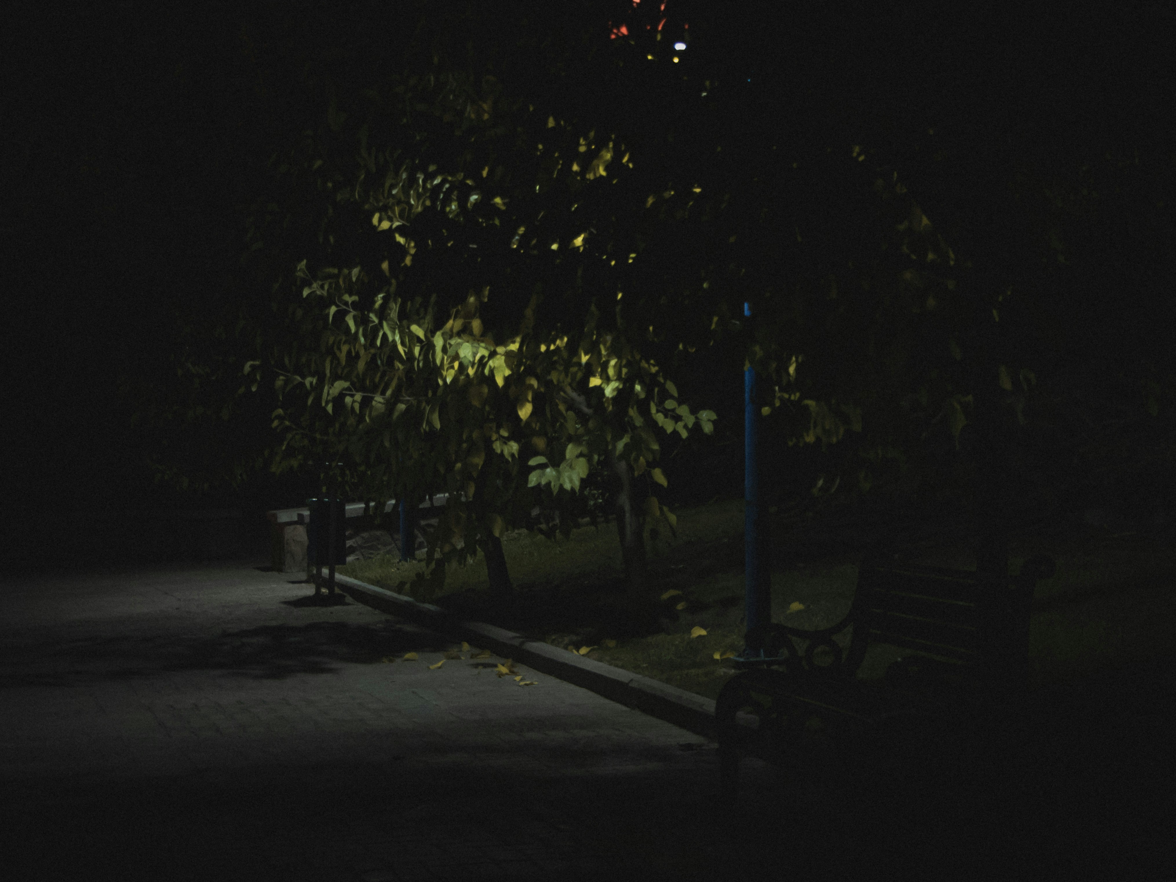 Photo by Ali Pilevar with Canon EOS 80D