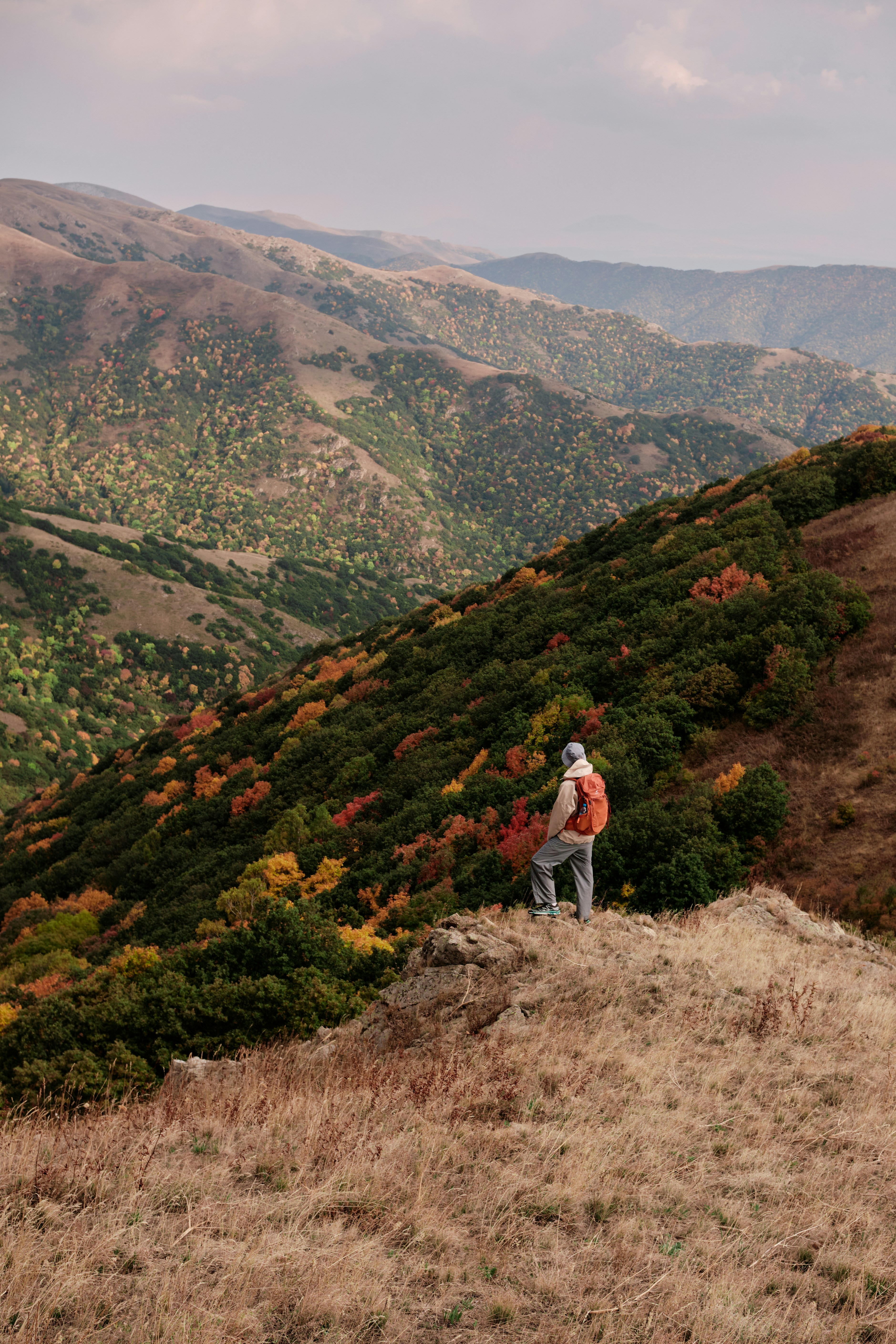 Hiker on a Ridge: Autumn Echoes Across Rolling Hills
