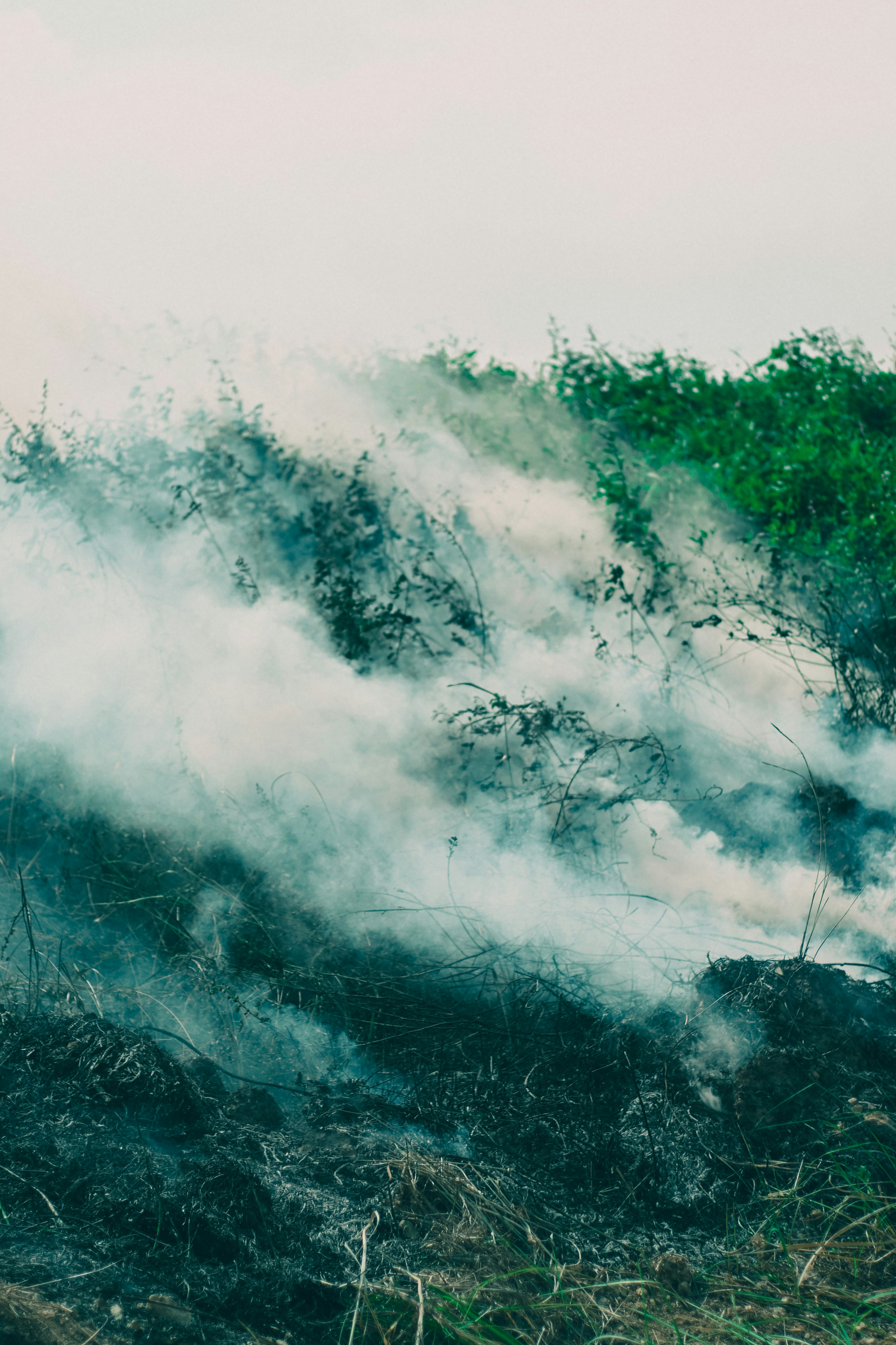 Emerald Veil Over a Charred Field: Smoke Eddies Through a Quiet Burn
