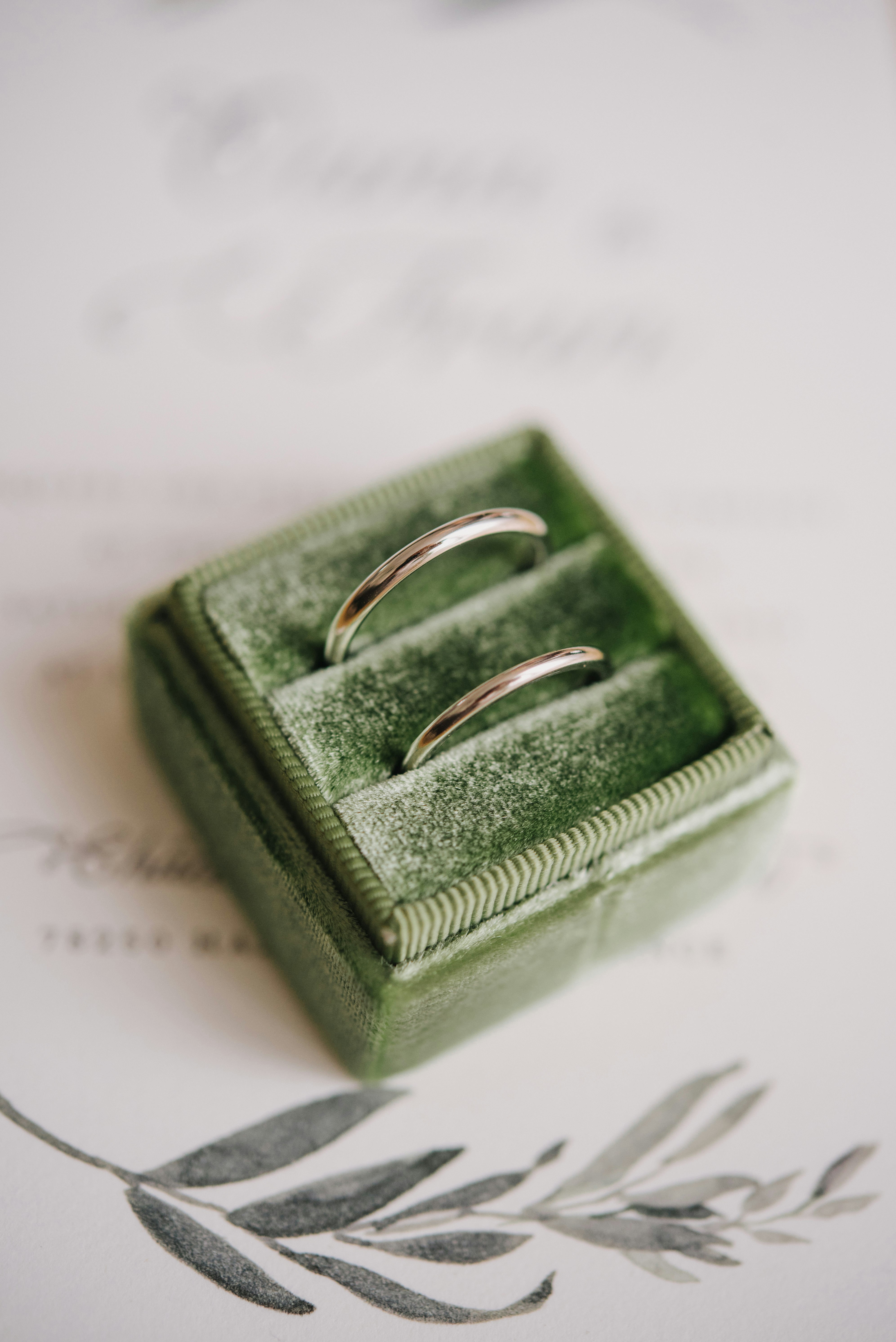 Twin Silver Bands Nestled in Velvet Green: A Quiet Moment of Promise
