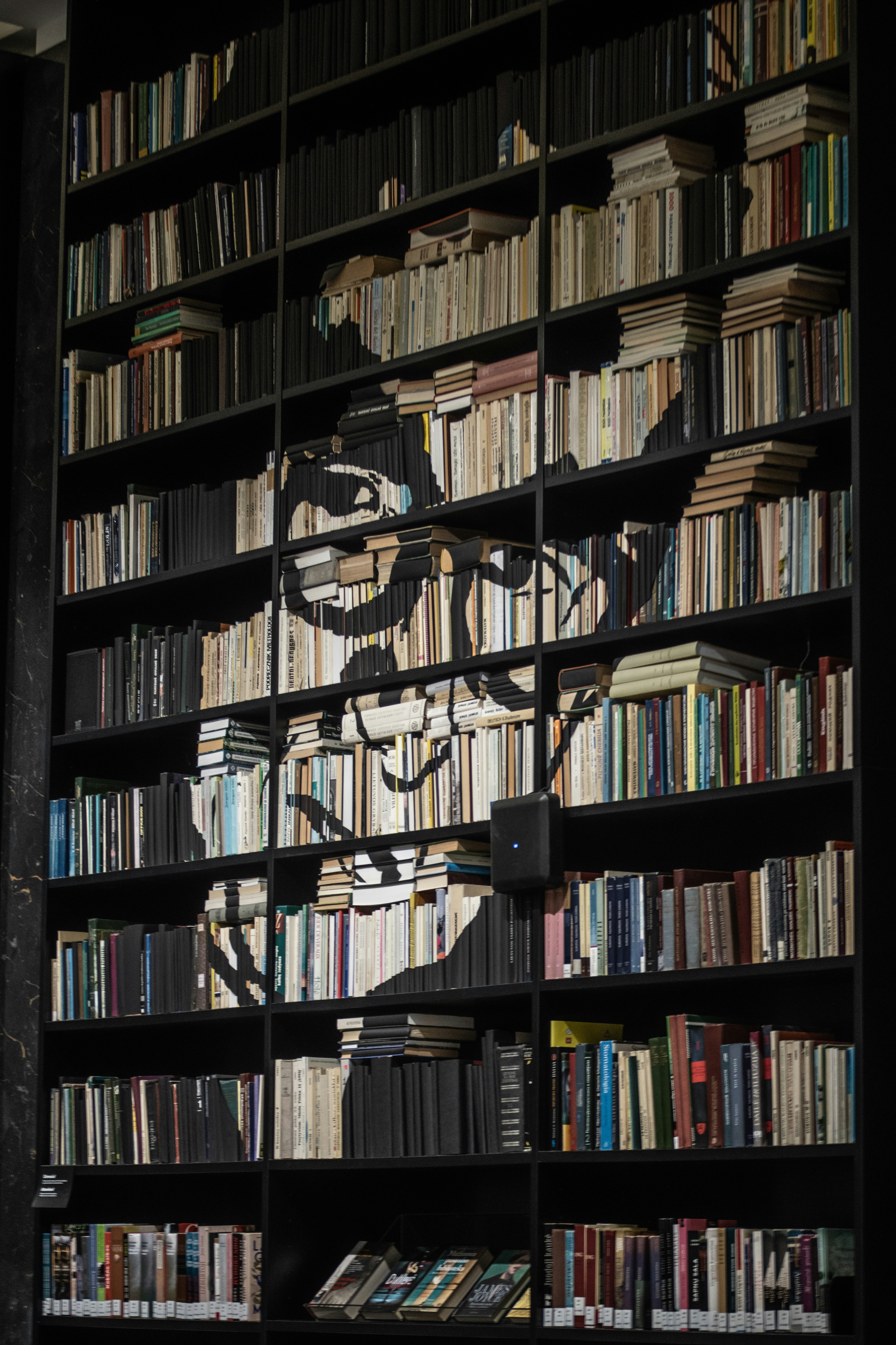 Library in Vilnius.