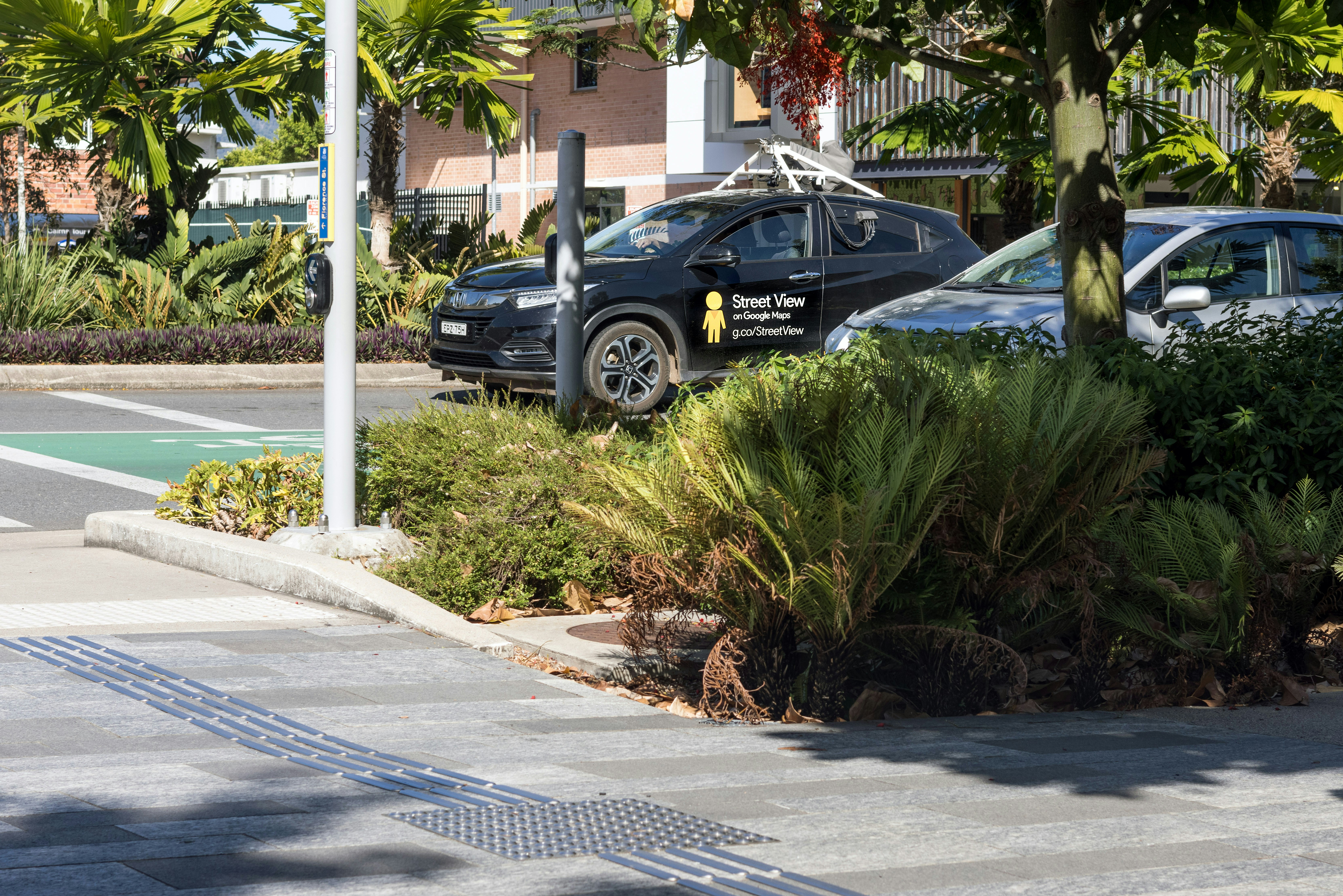 Sunlit Campus Street View Van Framed by Tropical Landscaping