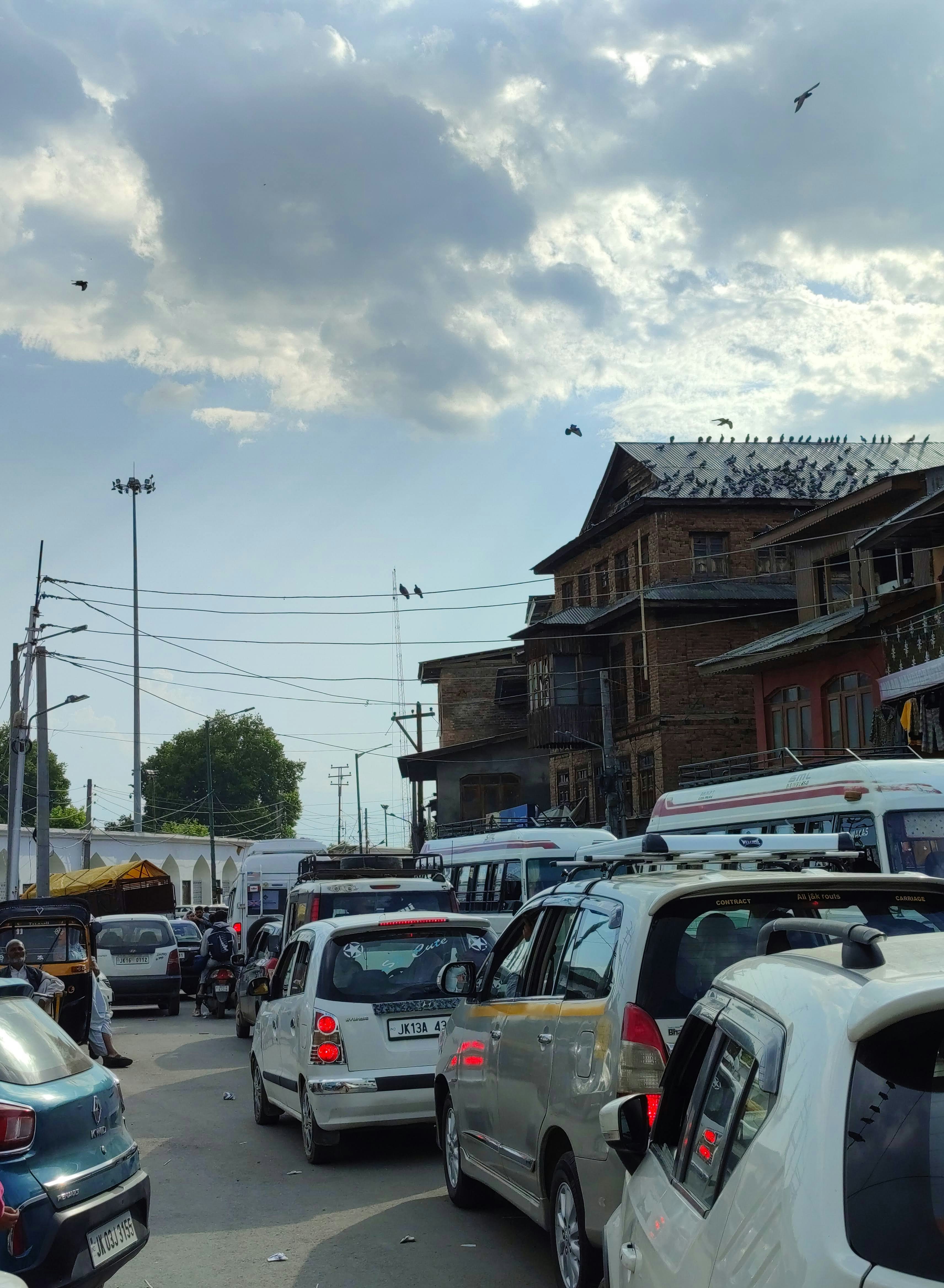 Rooftop Birds Above a Crowded Street