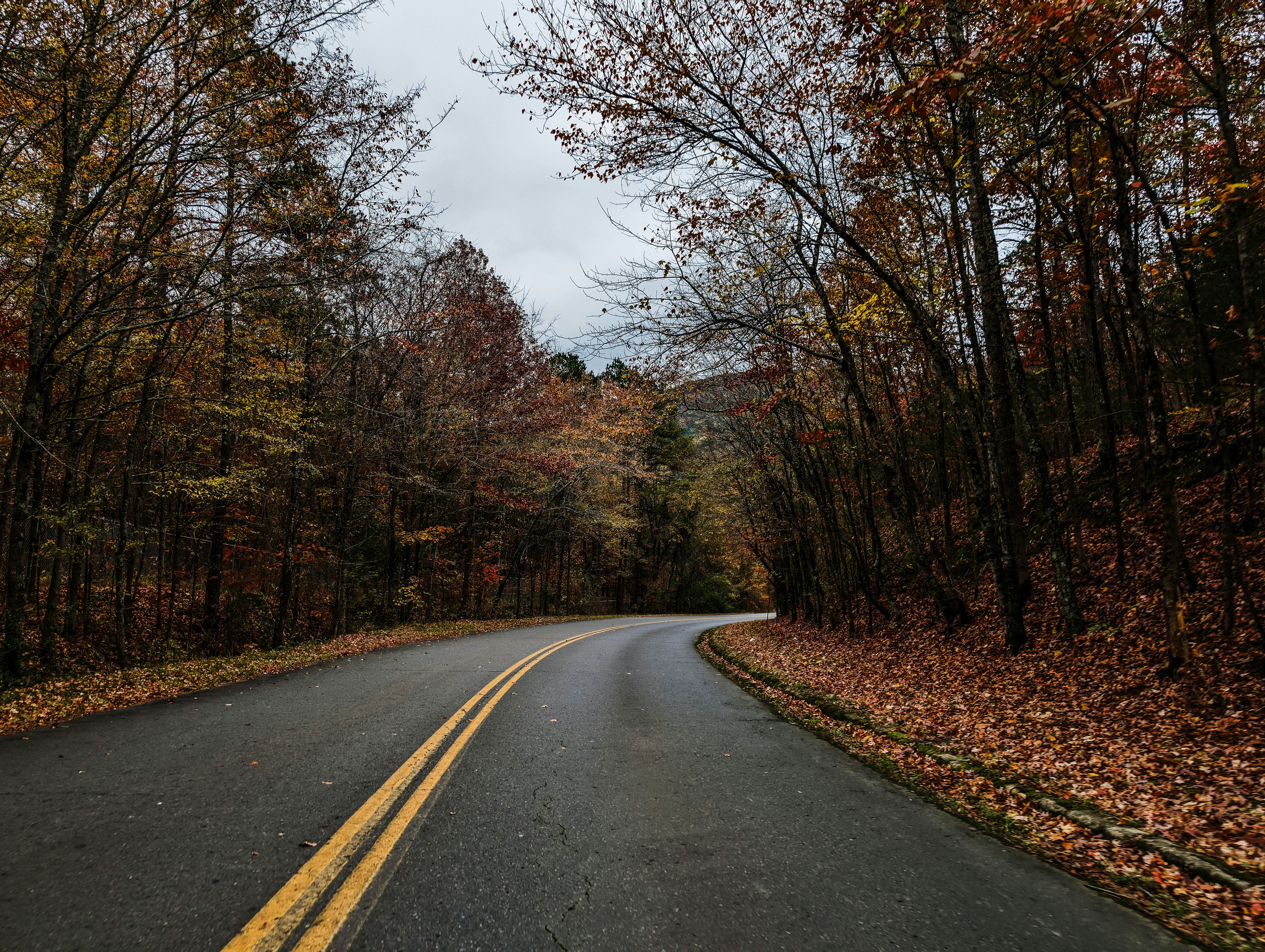 Curved road surrounded by colorful autumn foliage, leading through a tranquil forest. Leaves blanket the ground, enhancing the seasonal ambiance.