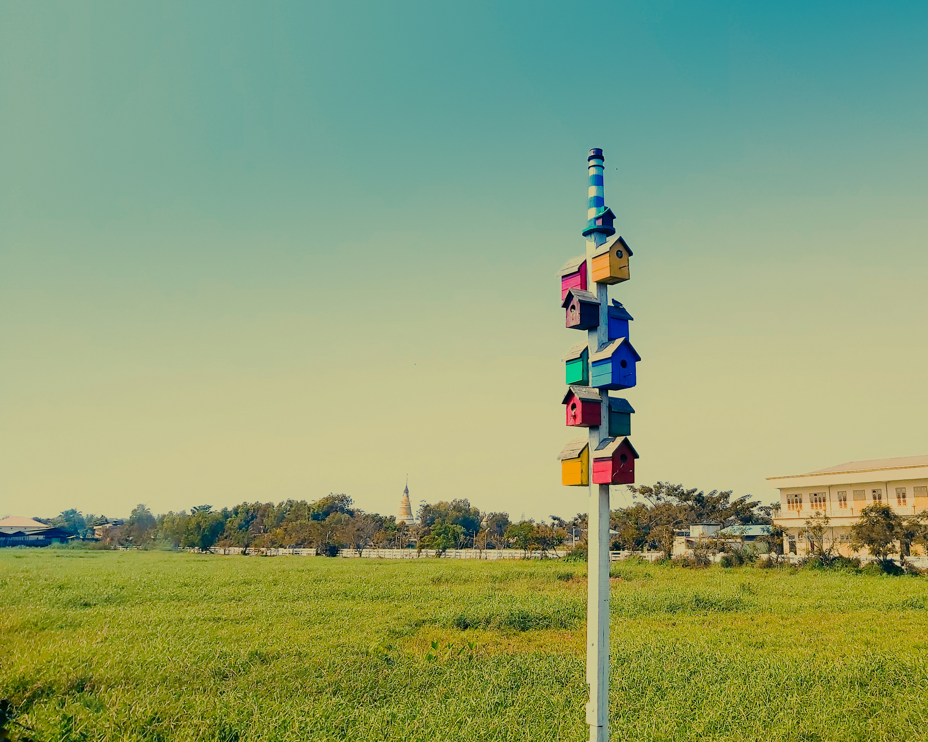 Colorful Pigeonhouse Pole Rising Over Open Field
