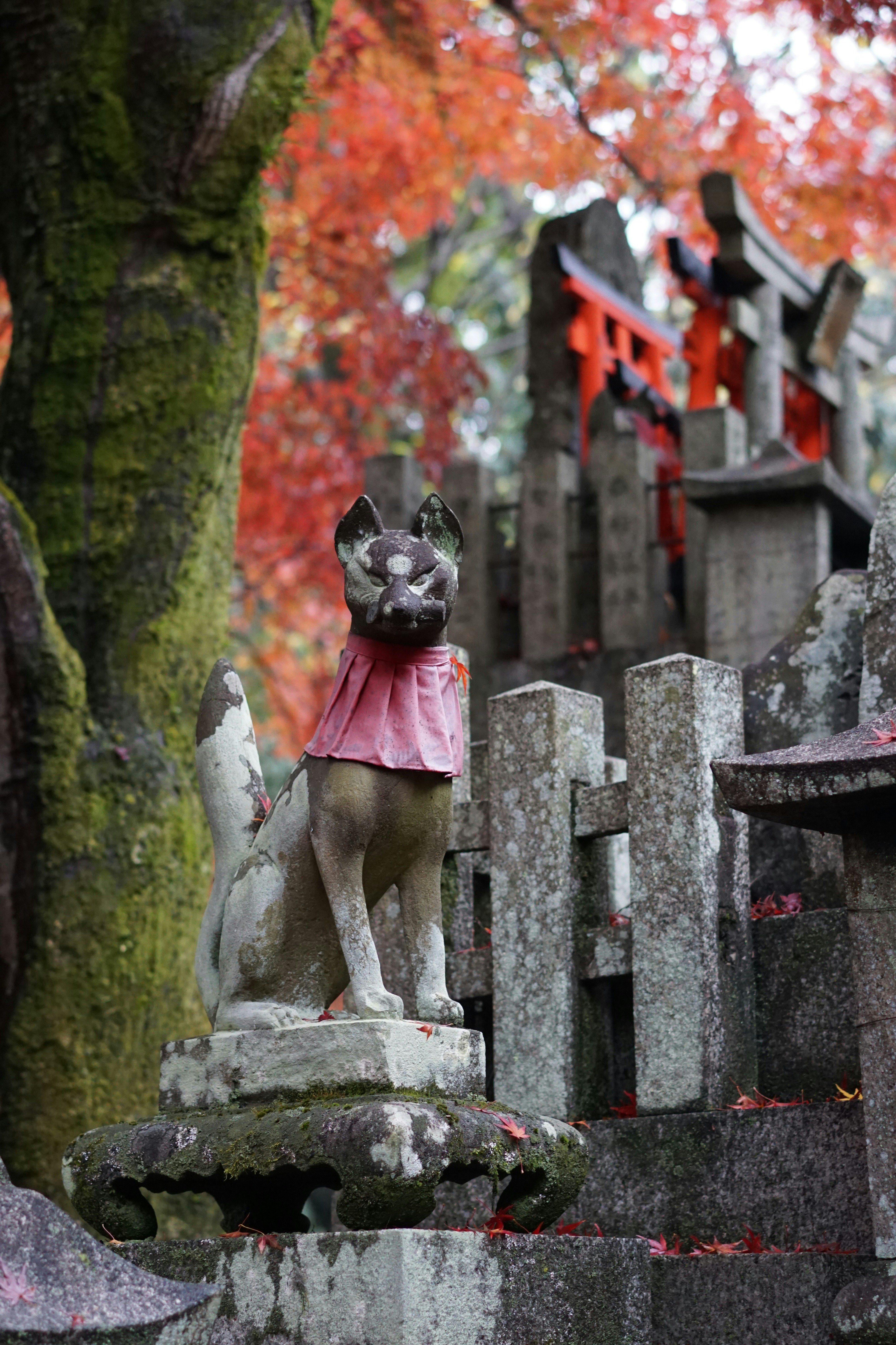 A stone fox statue adorned with a red cloth stands amidst a backdrop of vibrant autumn foliage and traditional stone torii gates.