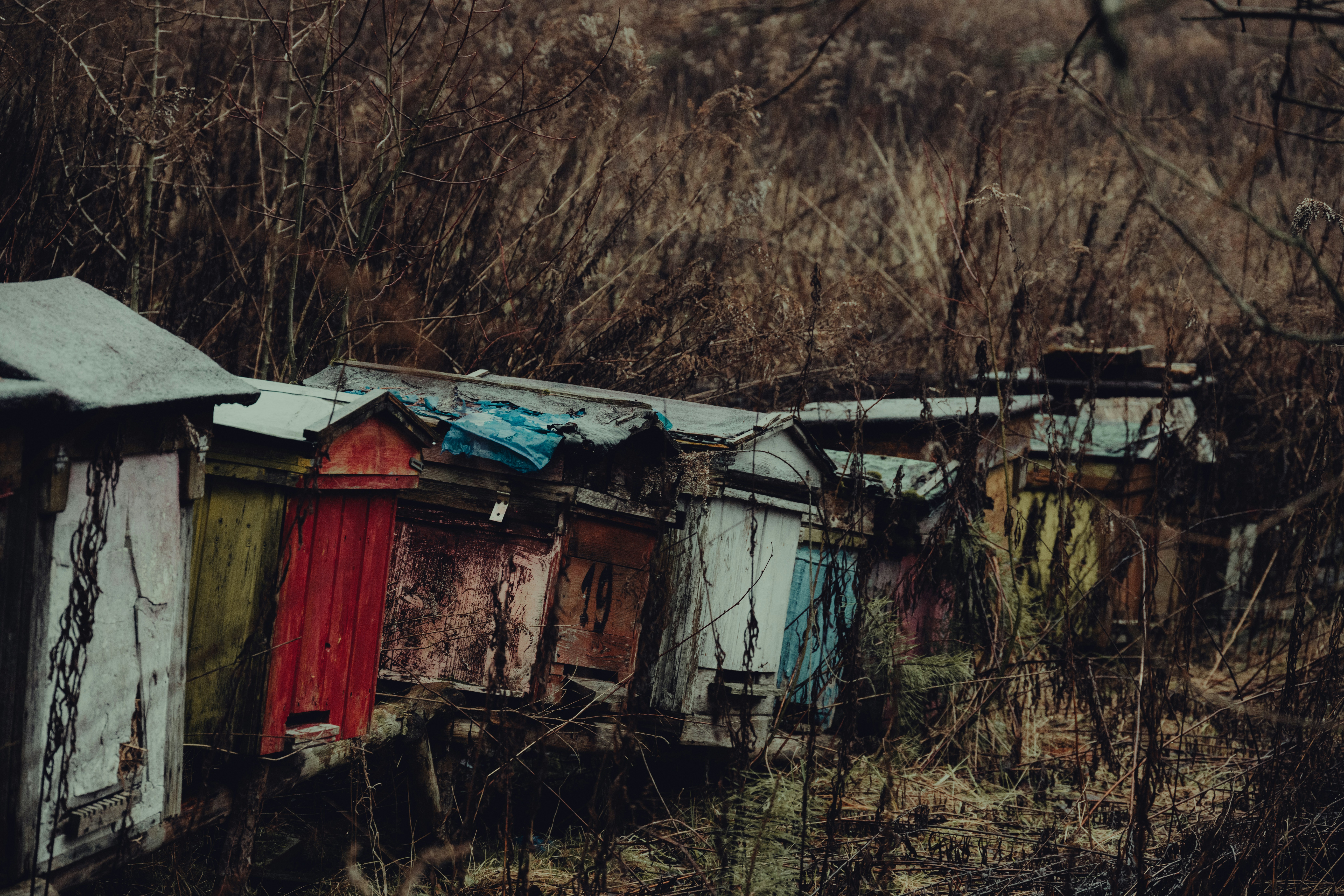 A bunch of shacks that are sitting in the grass photo – Free Nature ...