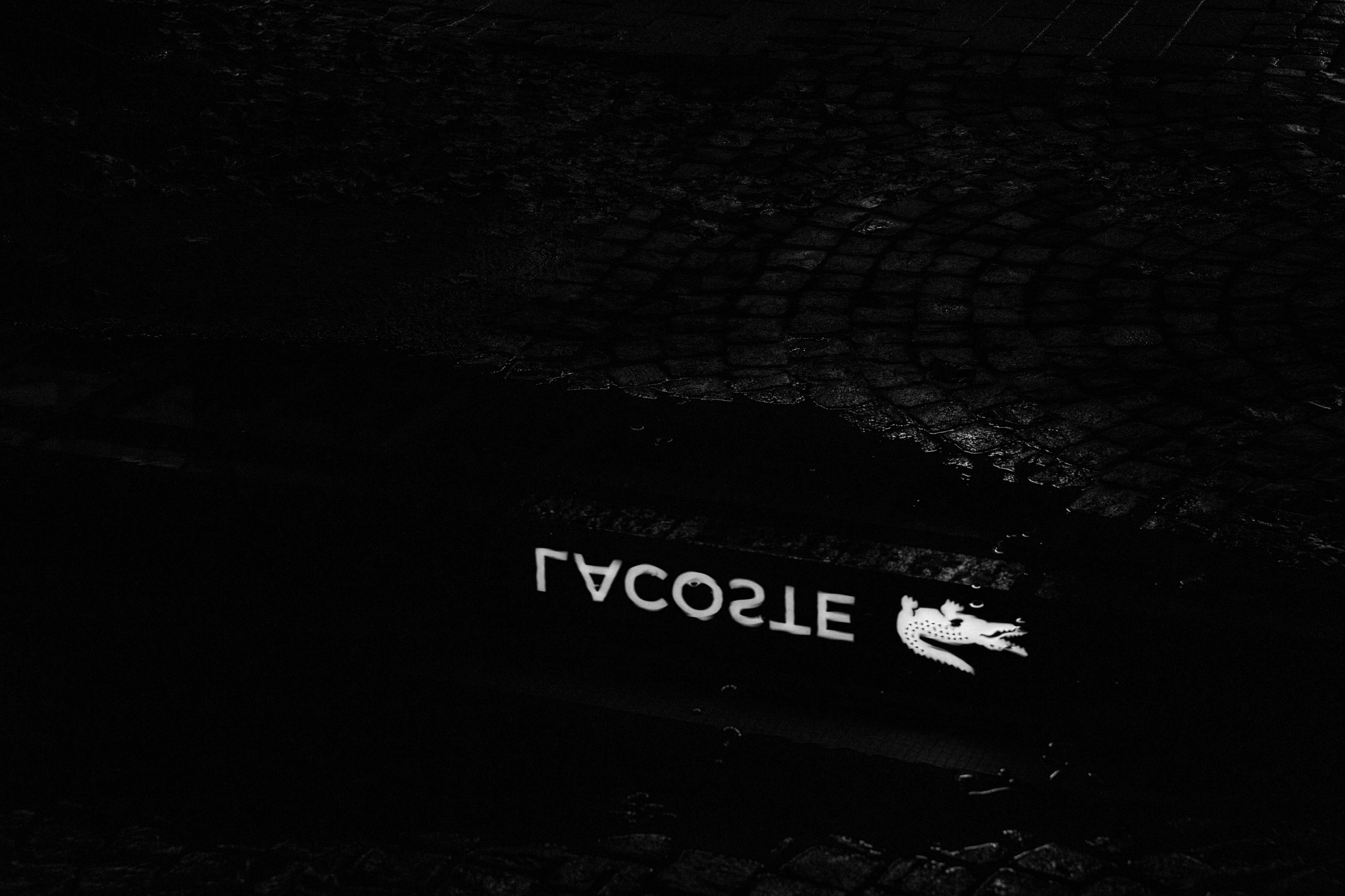 Lacoste in Reverse: Night Street Puddle as a Quiet Brand Reflection
