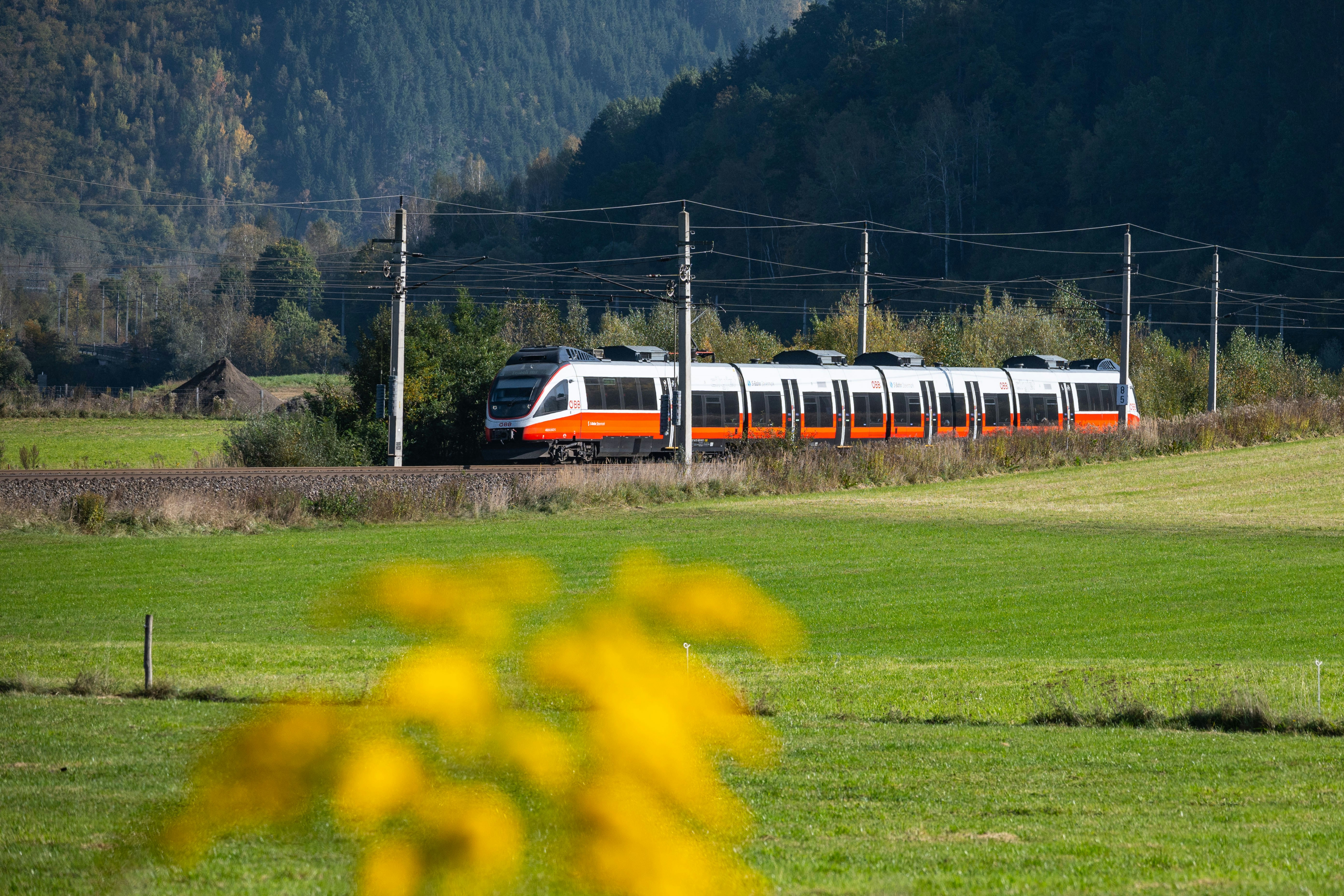 Electric Train Slicing Across Green Fields