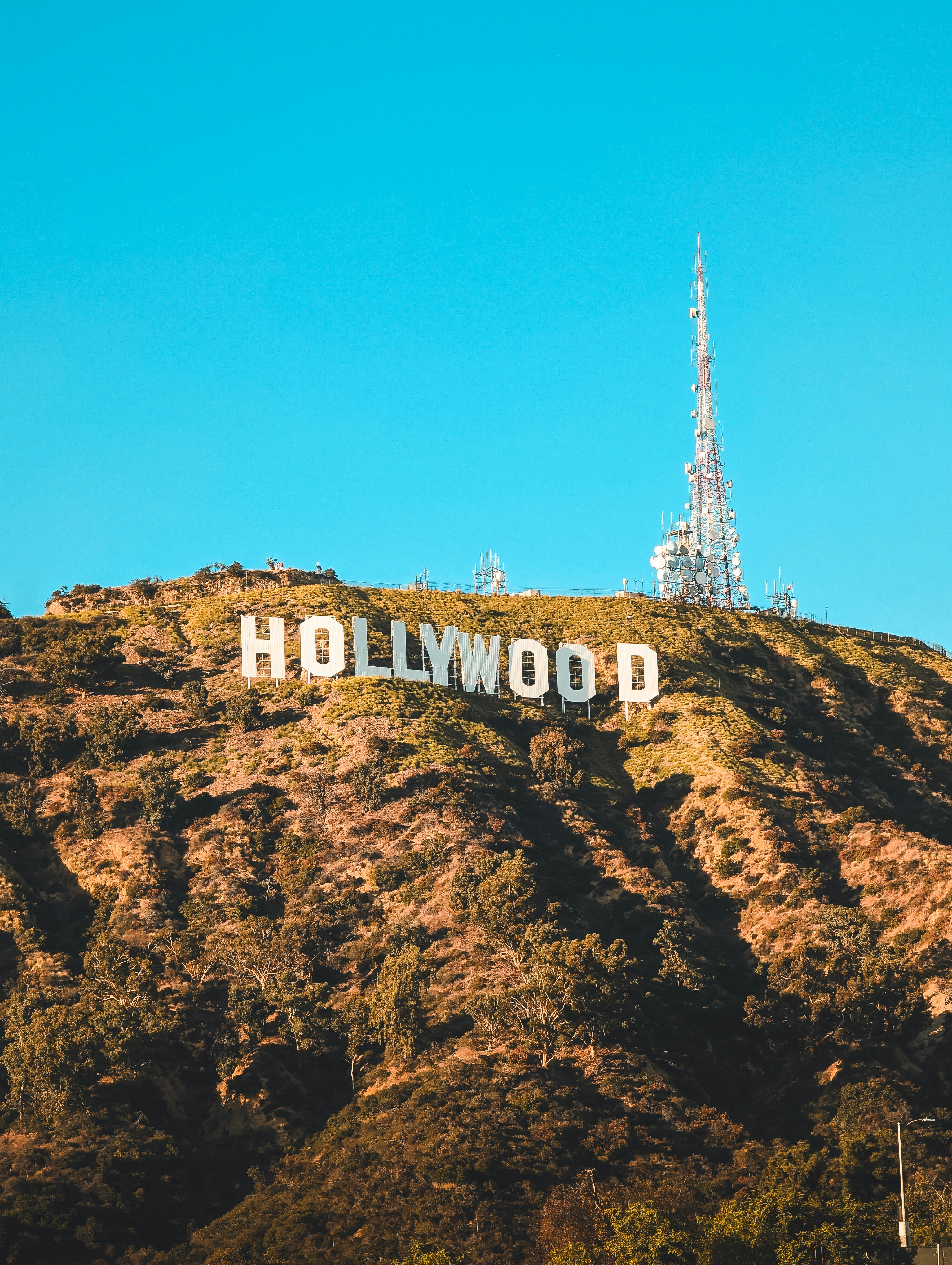 Prominent Hollywood Sign perched on a hillside, surrounded by lush greenery and a clear blue sky.