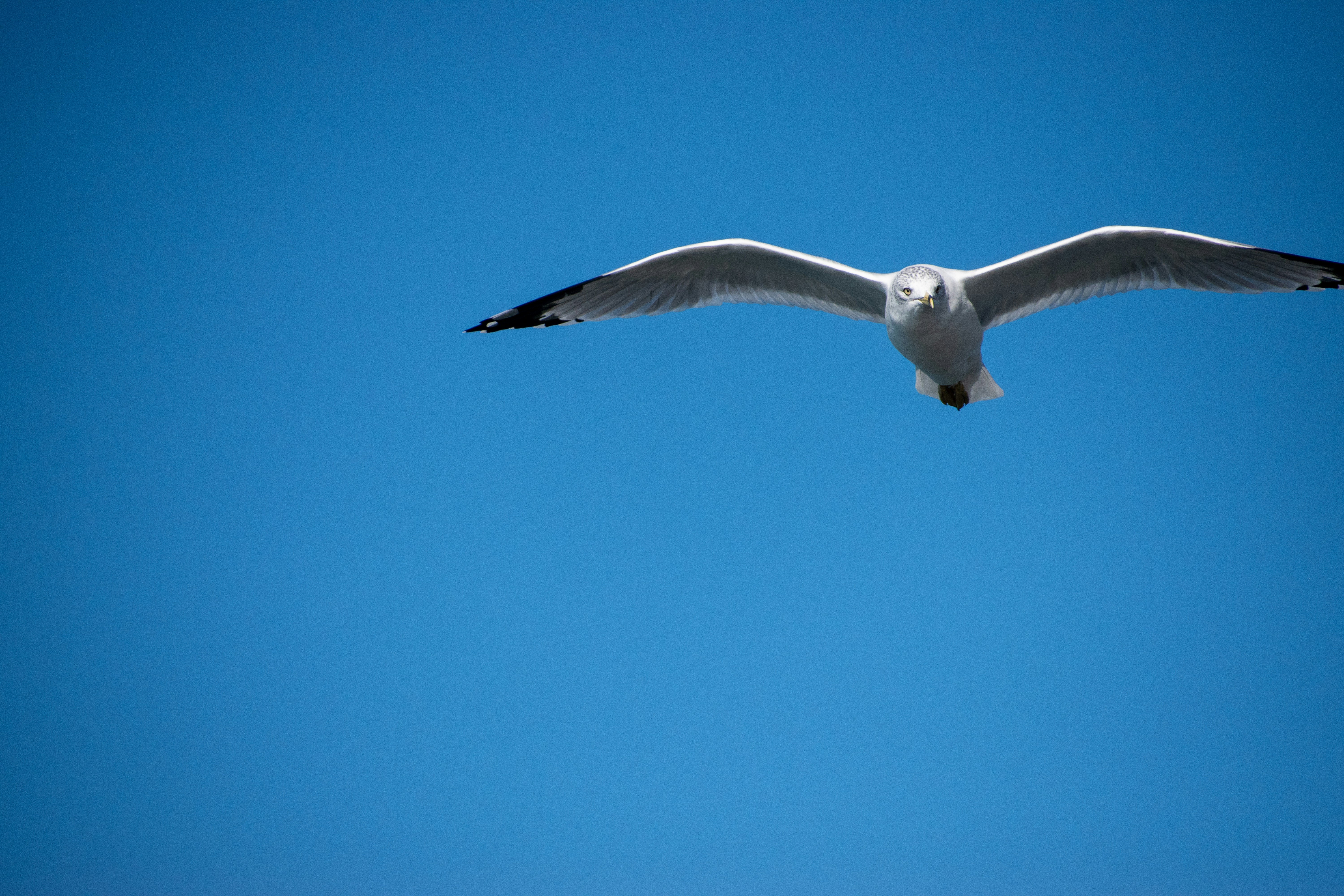 Photo by Alejandro Cisneros Delevaux with Nikon D5600