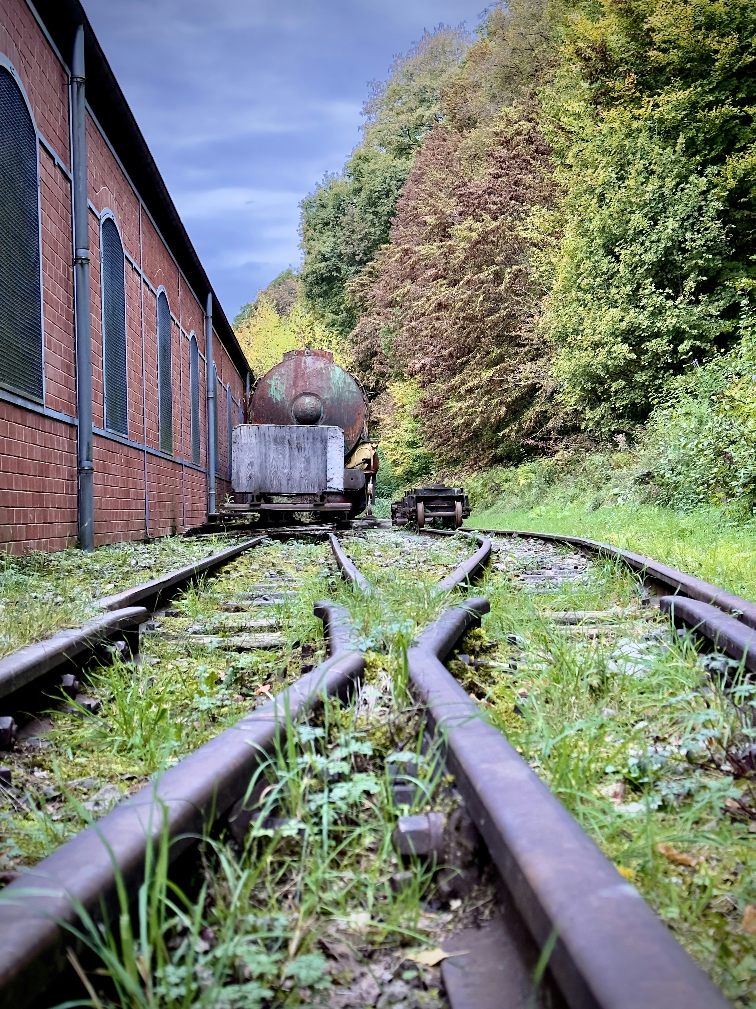 Converging Rails Toward a Rusted Tank in an Overgrown Yard