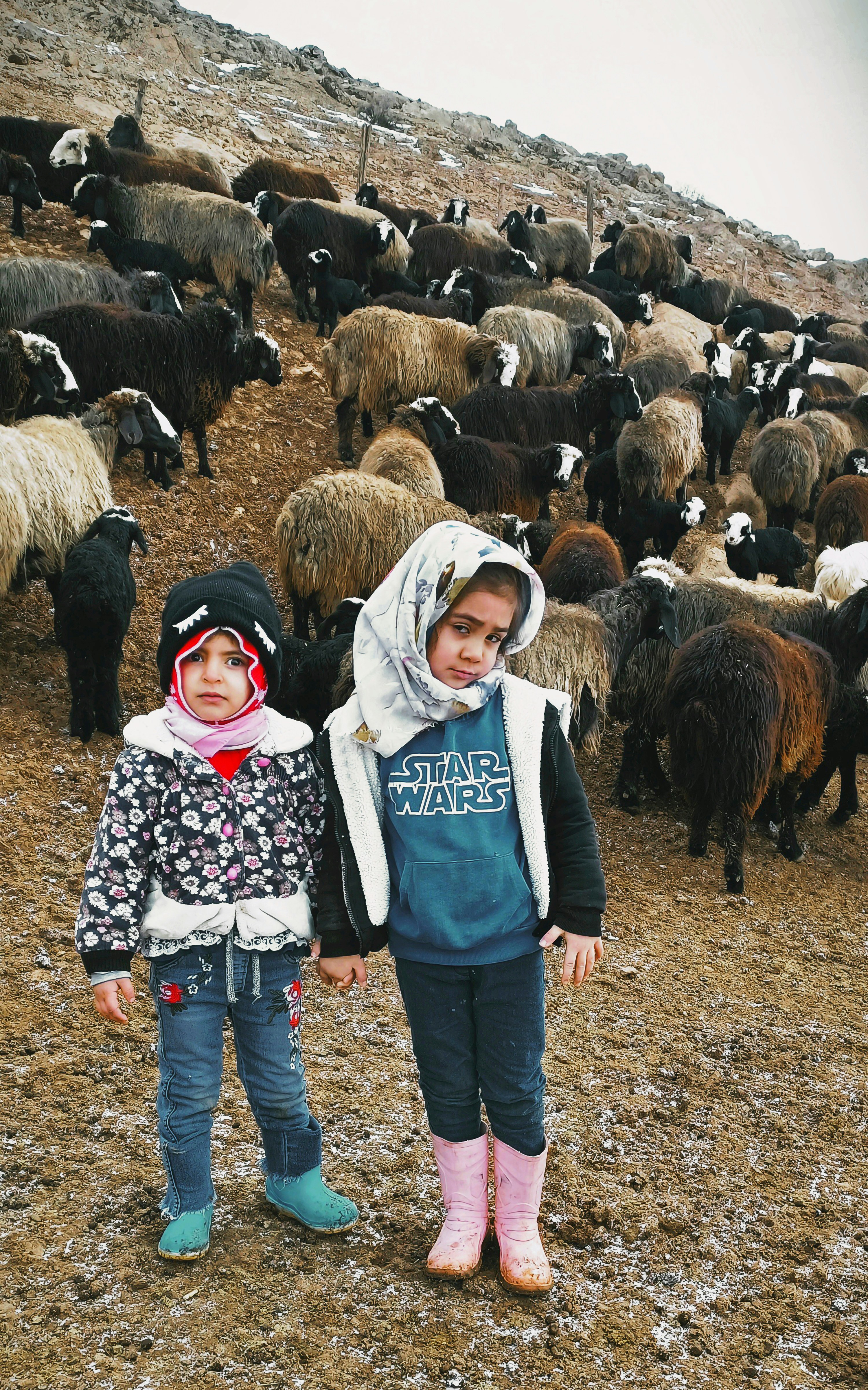 Deux enfants debout devant un troupeau de moutons photo – Photo Portrait Gratuite sur Unsplash