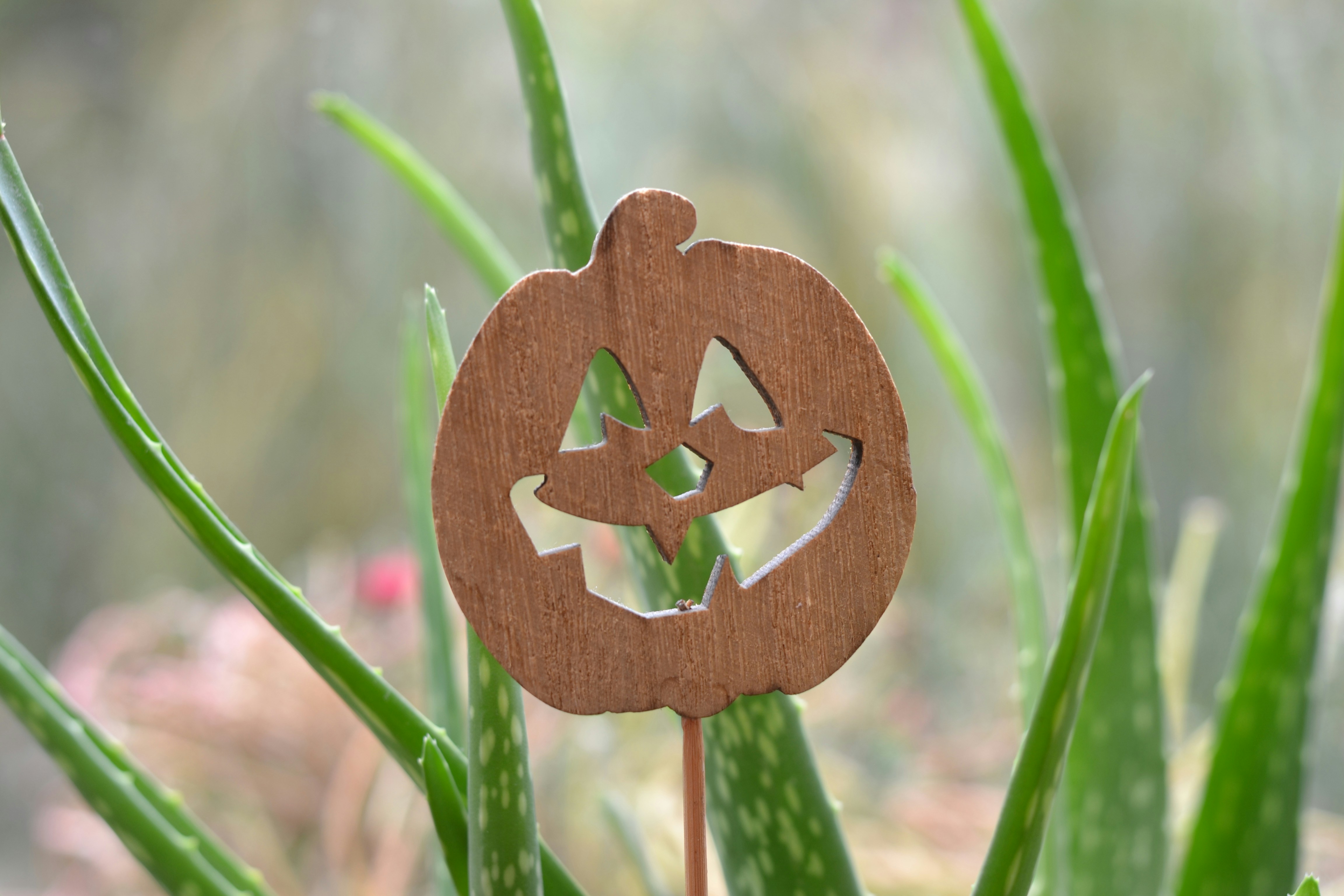 Luminous Jack-o'-Lantern Silhouette Among Spiky Greenery
