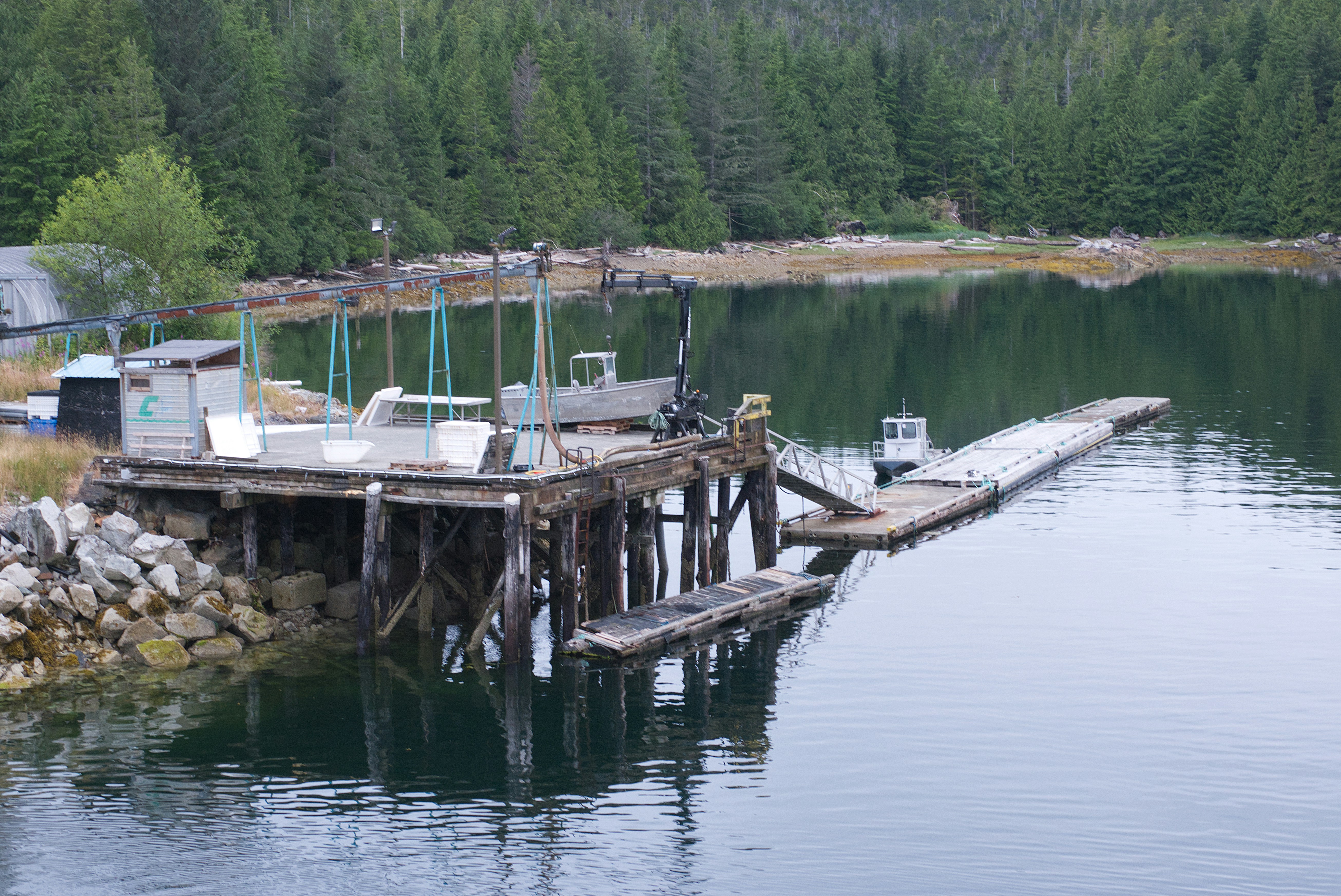 A dock on a lake with a boat in the water photo – Free Bella coola ...