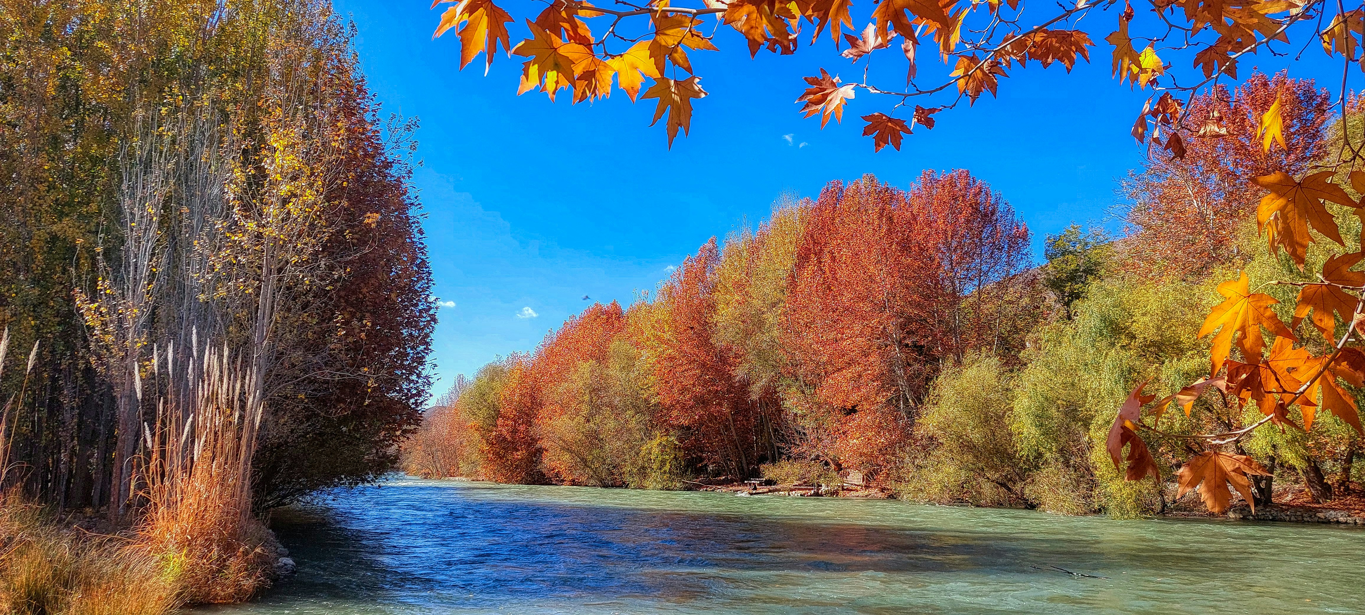 Photo by Ali Arjmandi with Samsung Galaxy A52