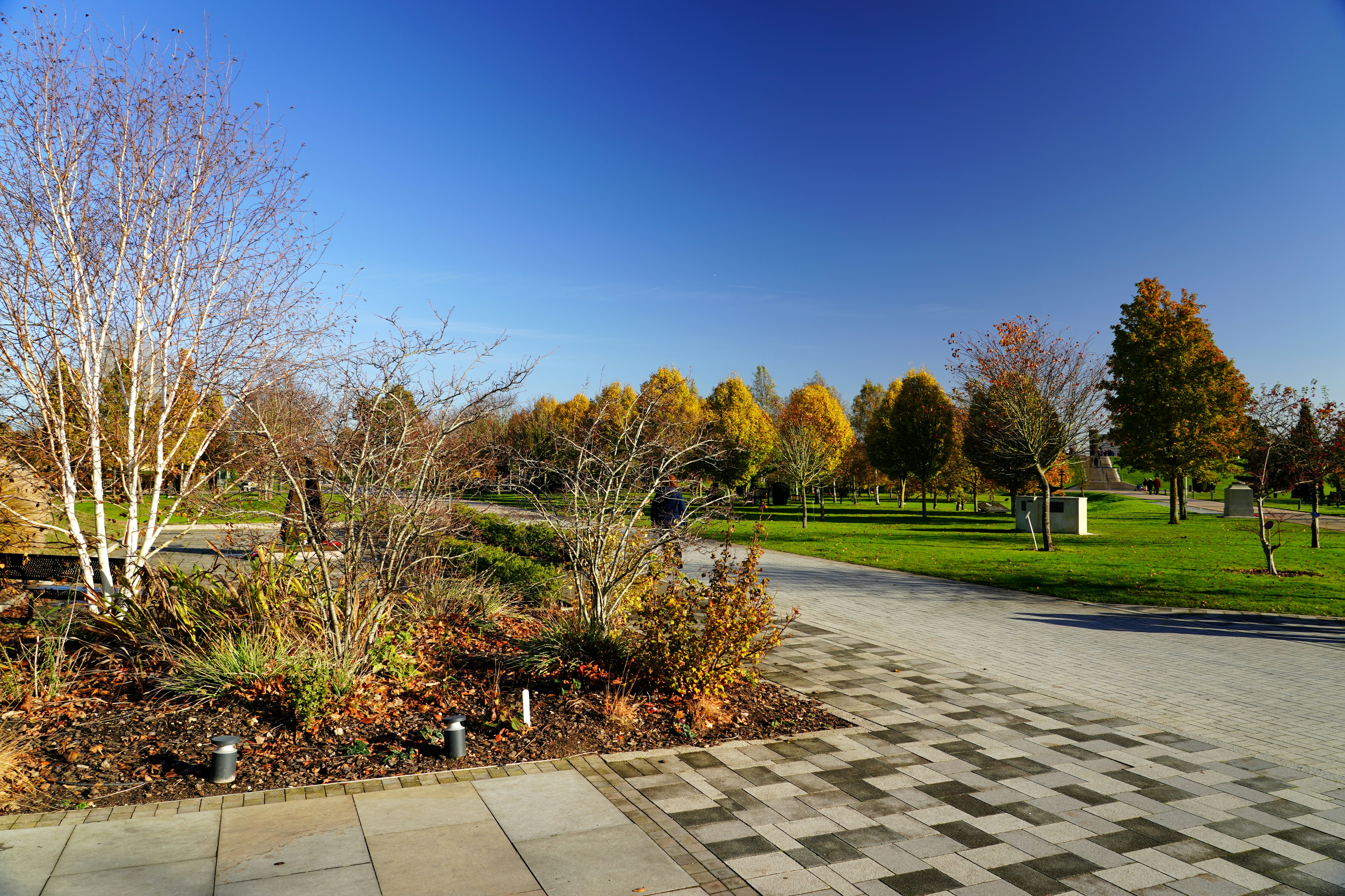 A park with a checkerboard walkway and trees photo – Free Nature Image ...