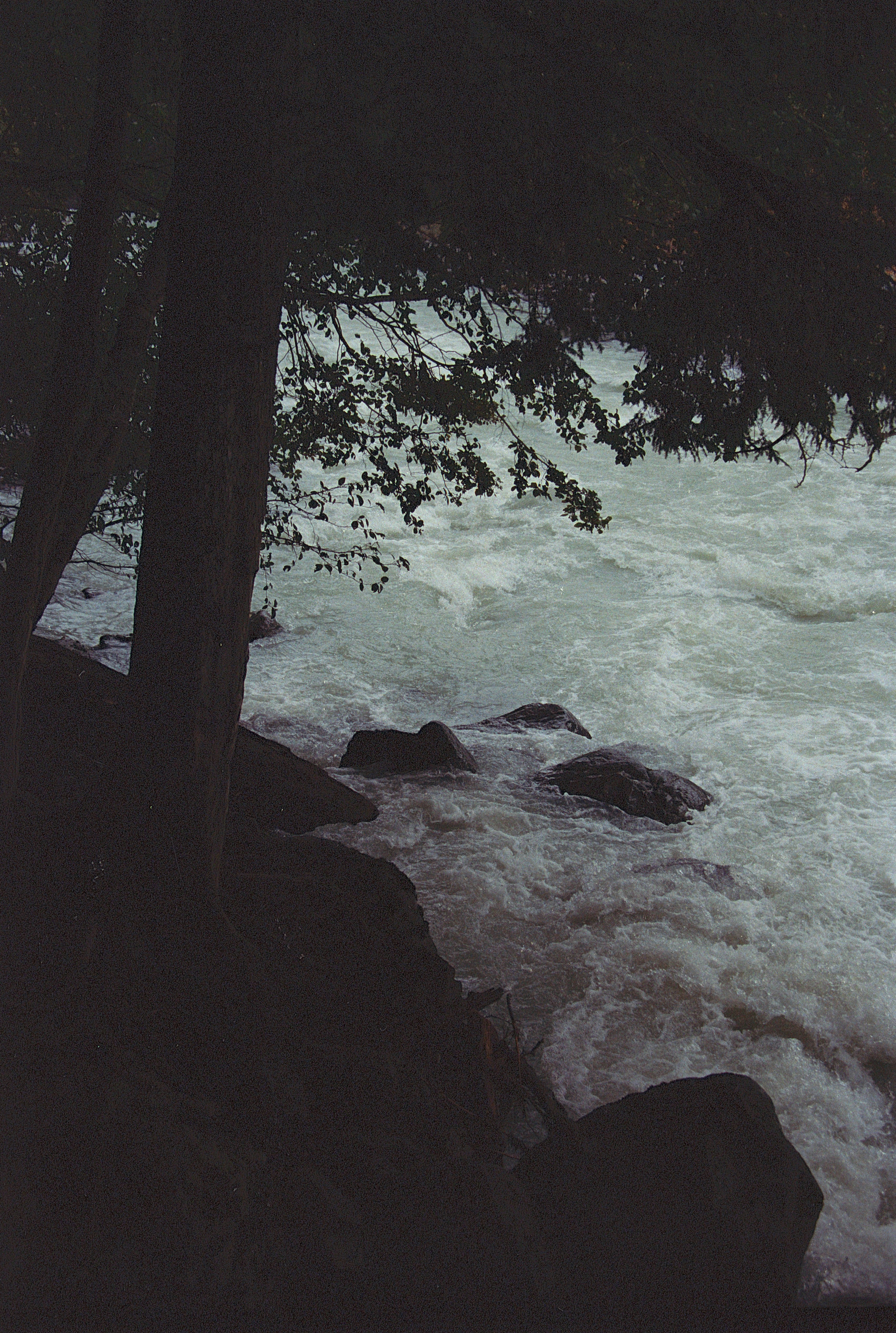 Rocks along a foaming river edge are framed by dark, overhanging trees. A moody landscape photograph emphasizes texture and contrast in low light.