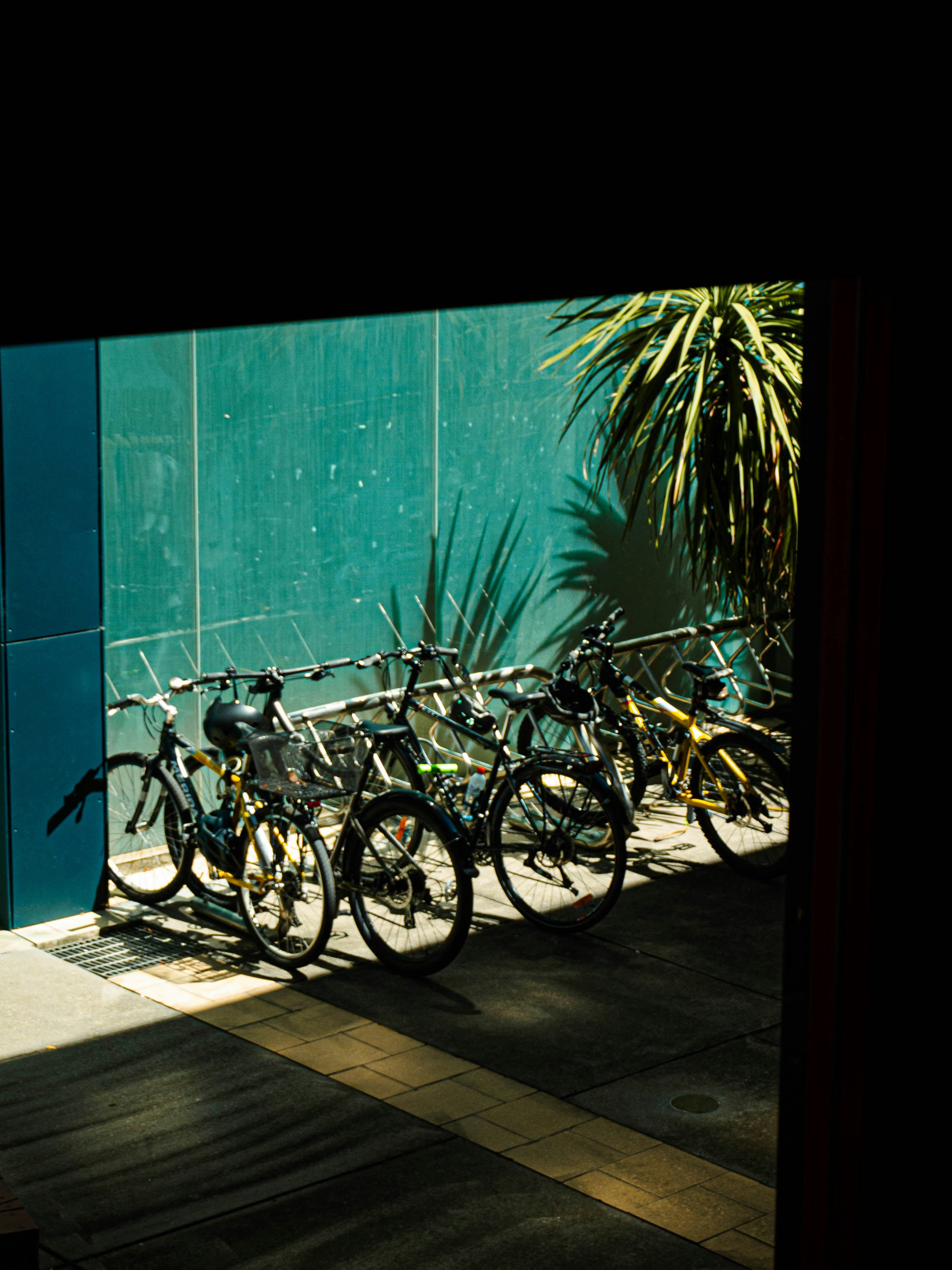 A group of bikes parked next to a green wall photo – Free Bike Image on ...