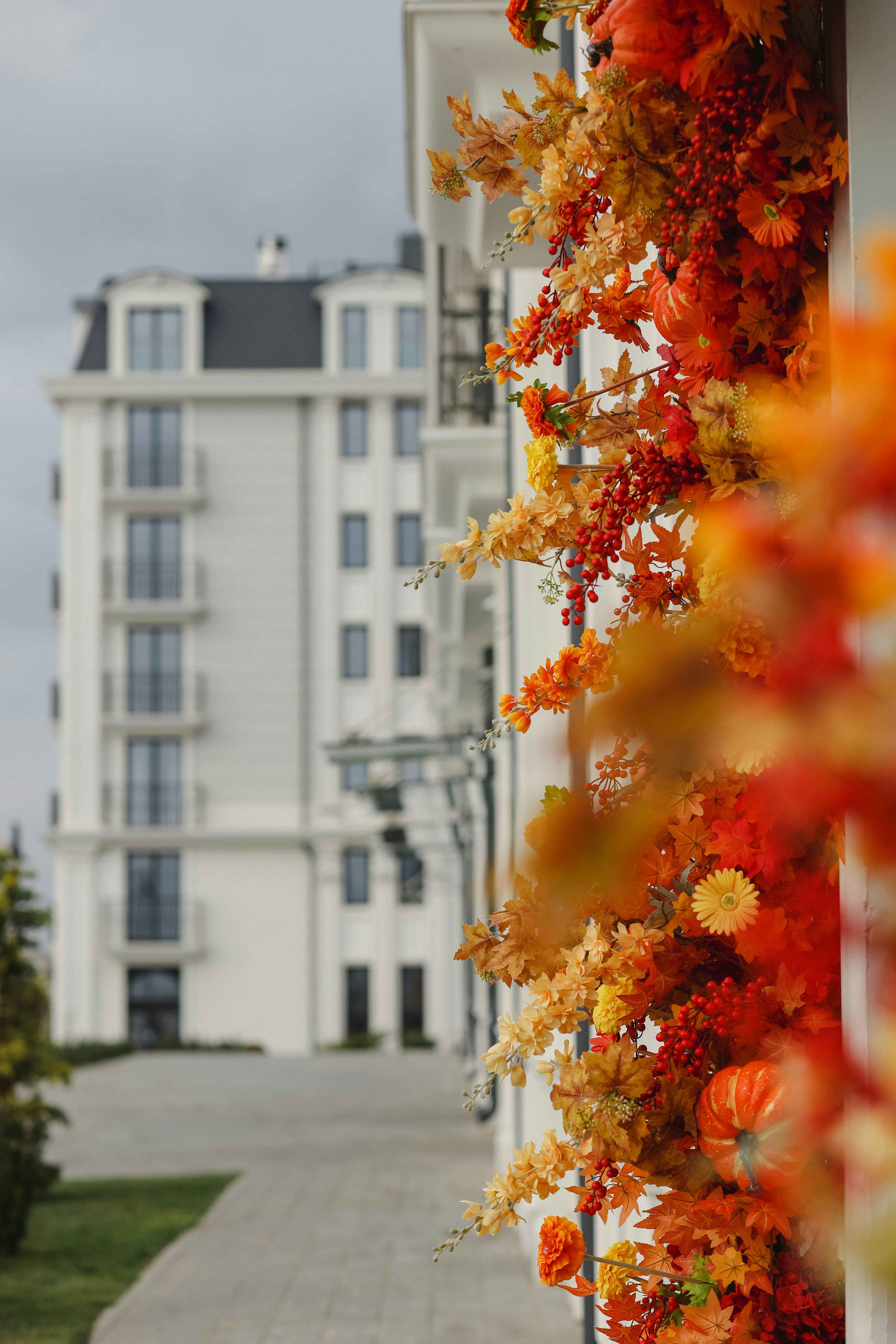 Autumnal Florals Framing a Quiet Street