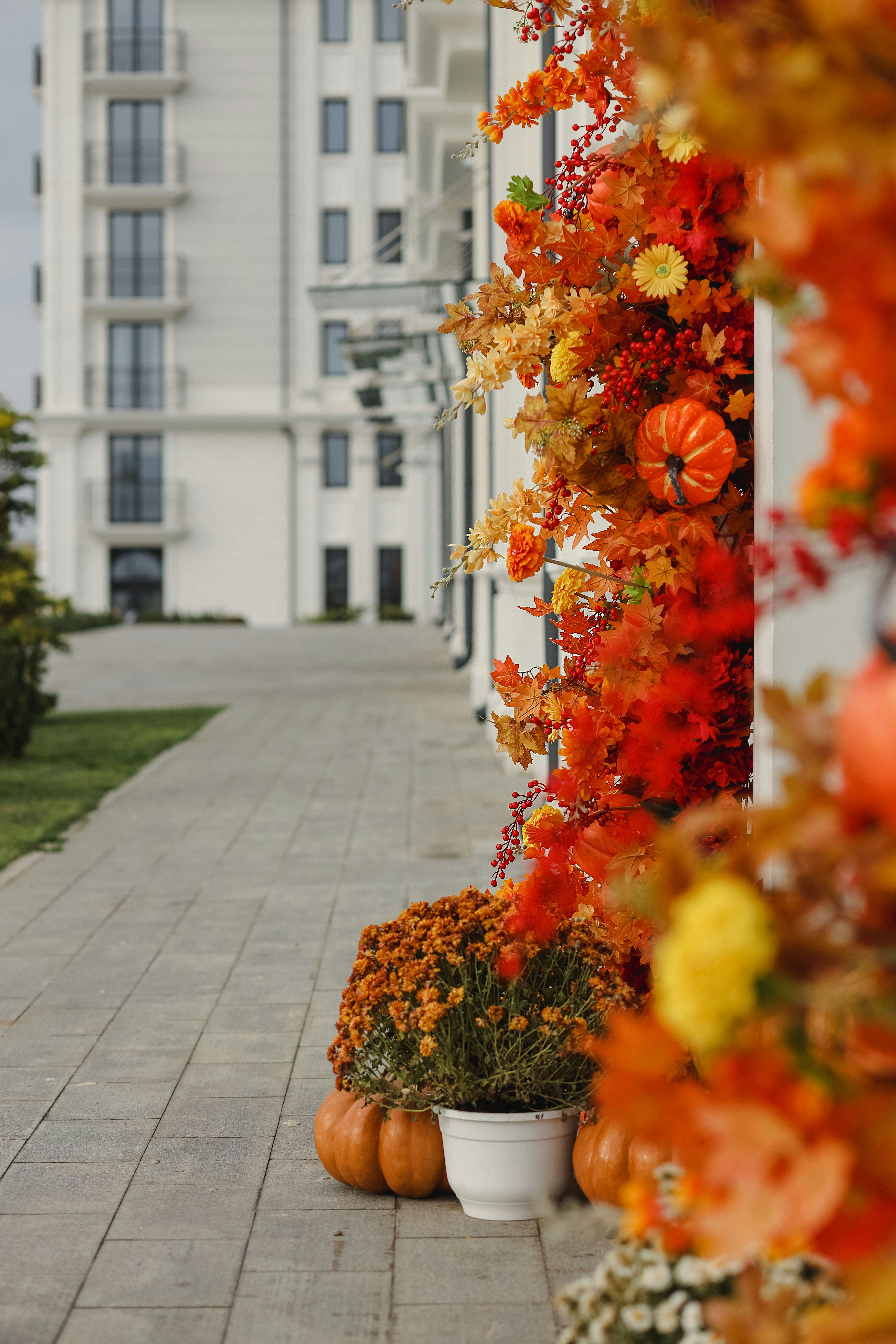 A row of pumpkins sitting on the side of a building photo – Free ...