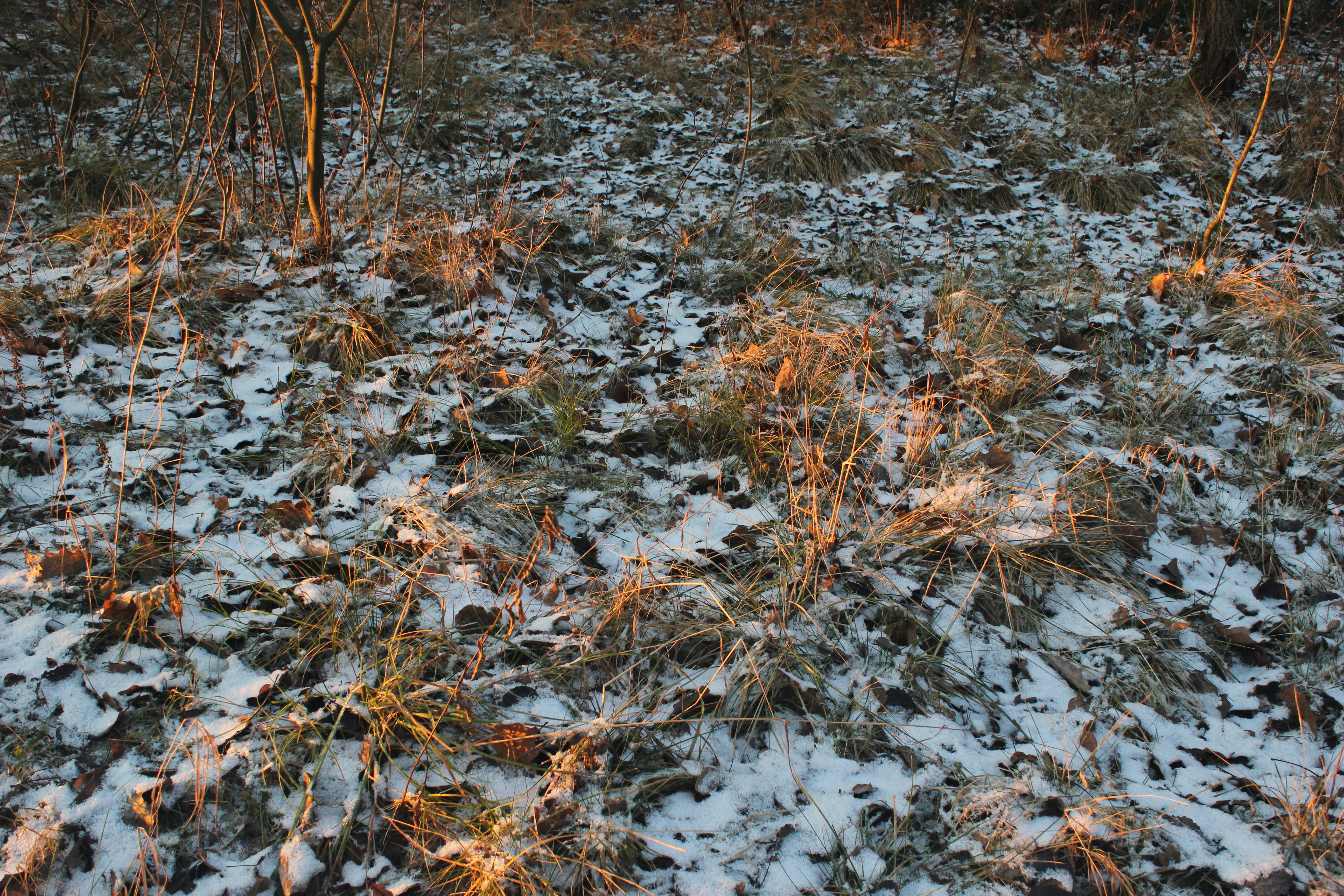 Photo by Ivan Green with Canon EOS 550D