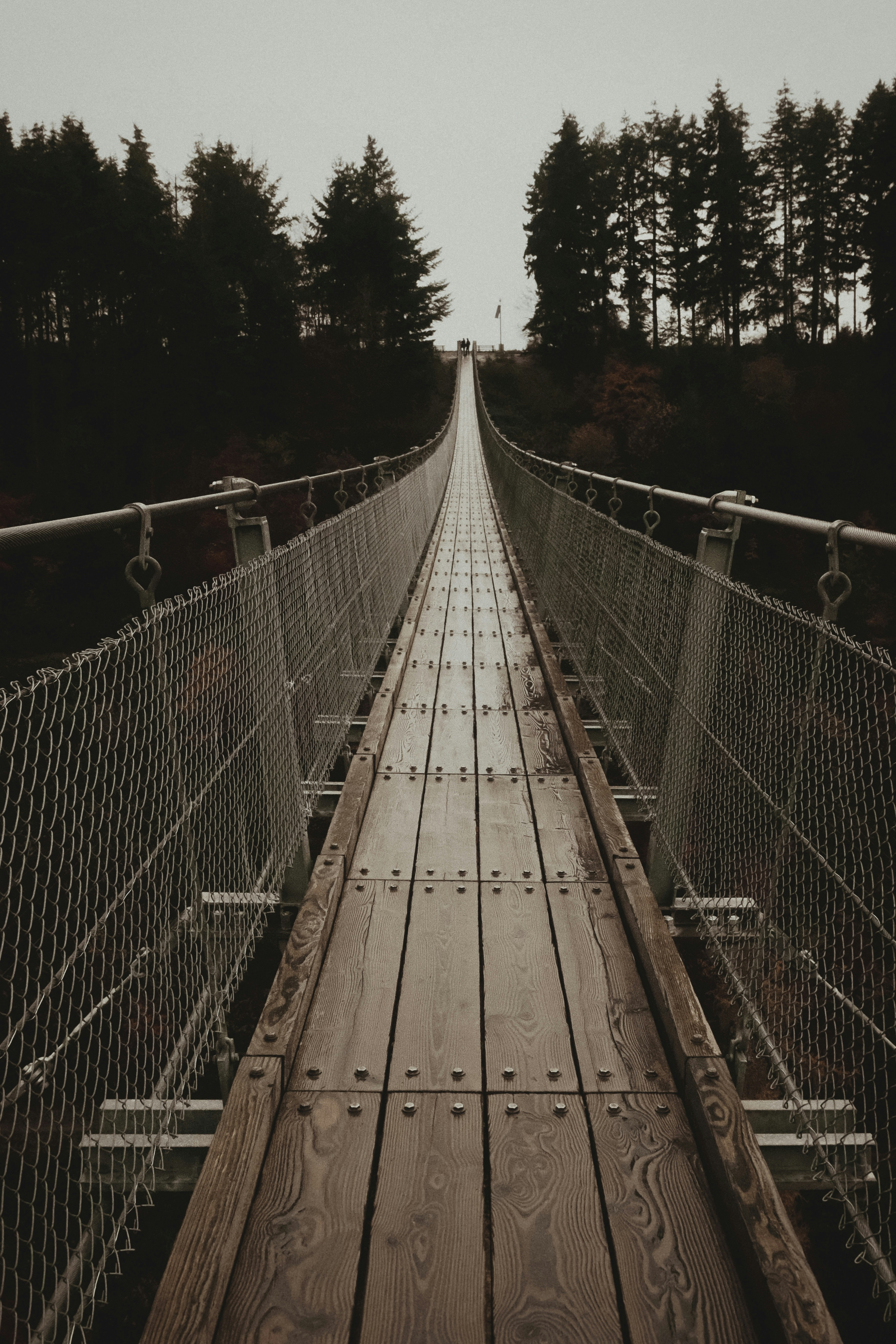 Photo by Laura Cleffmann with Fujifilm X-T30 II