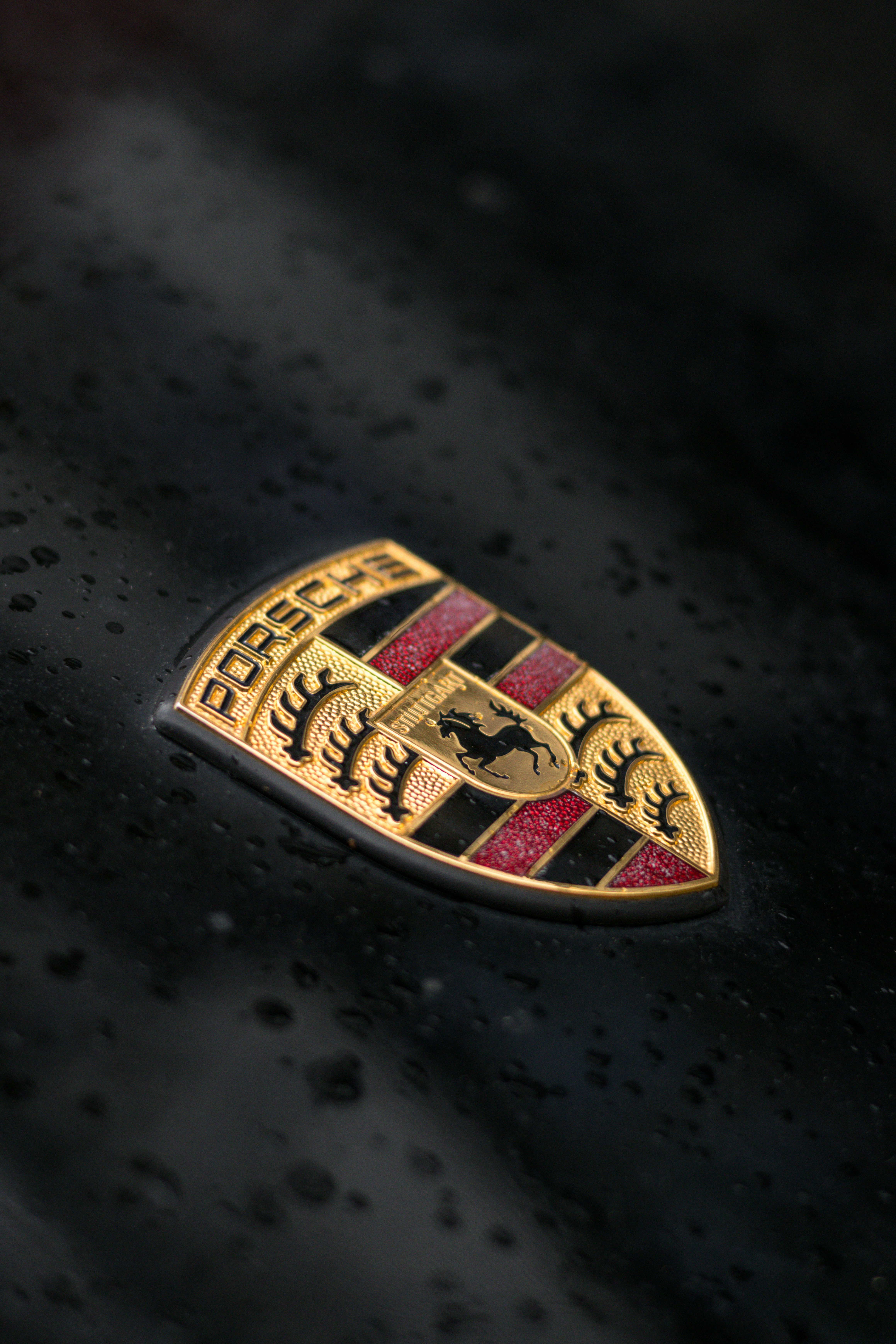 Gold Crest on Rain-Kissed Black: A Porsche Emblem in Close-Up