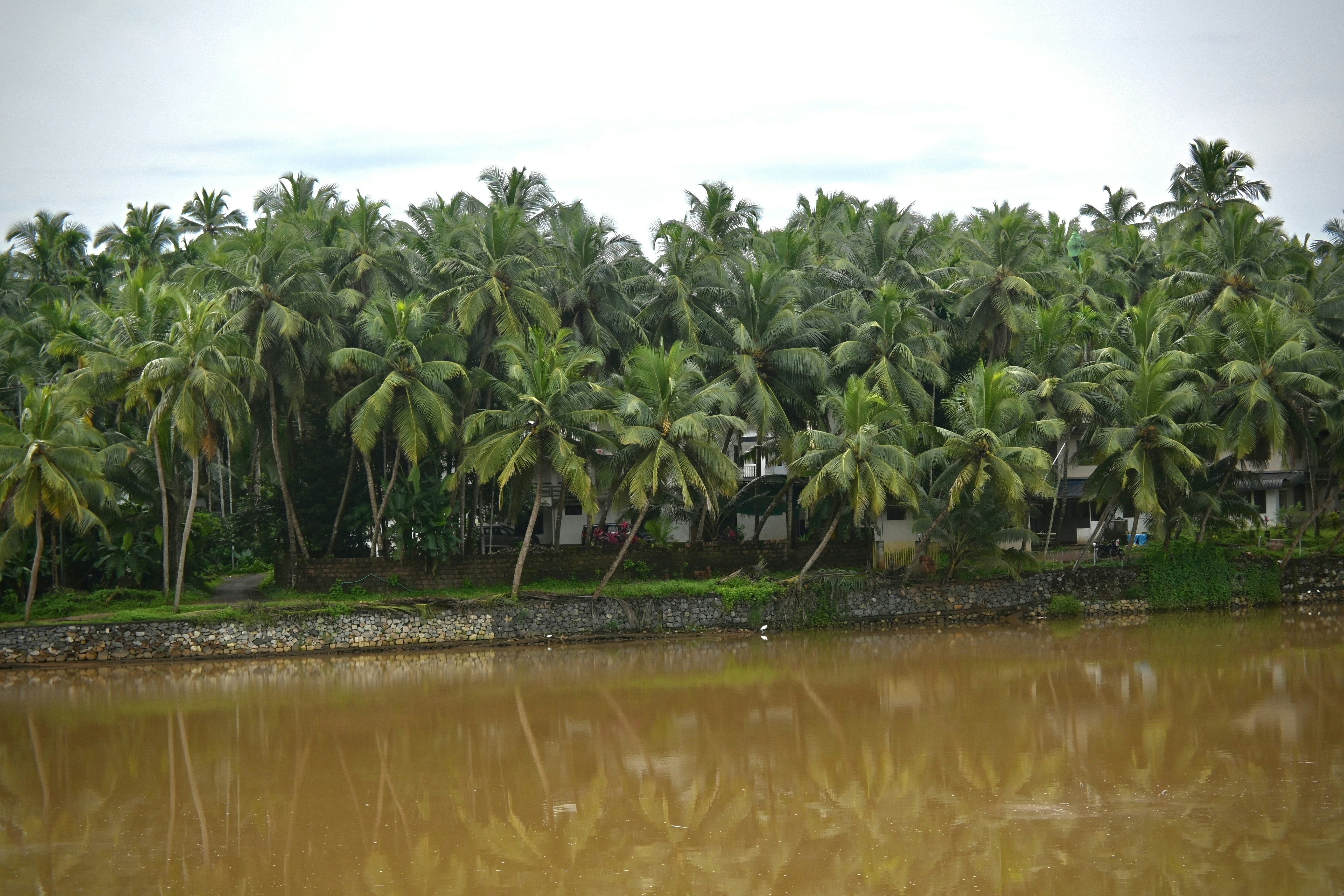 Sample photo from Nikon Zfc