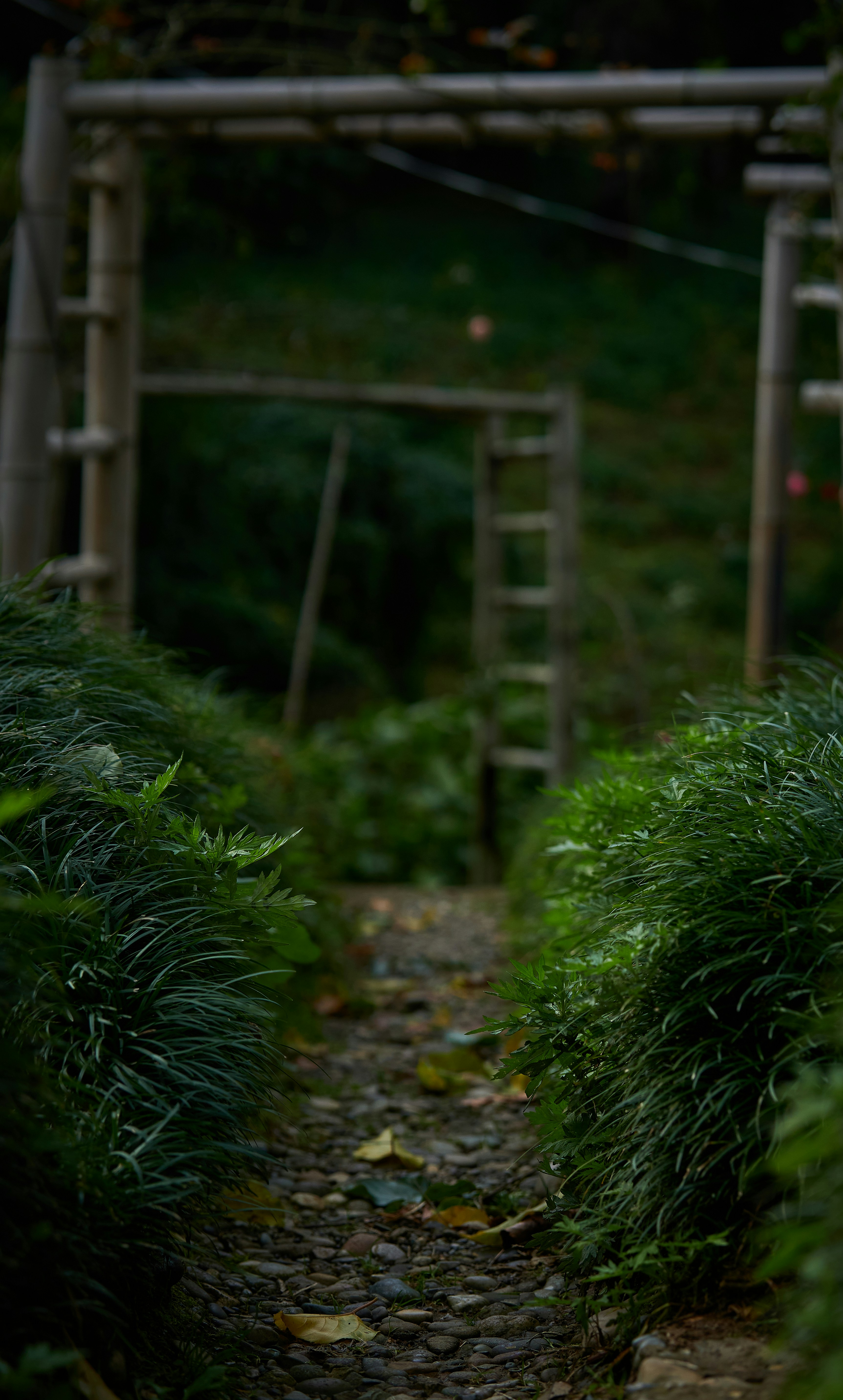 Threshold in Green: A Pebble Path Toward a Hidden Gate