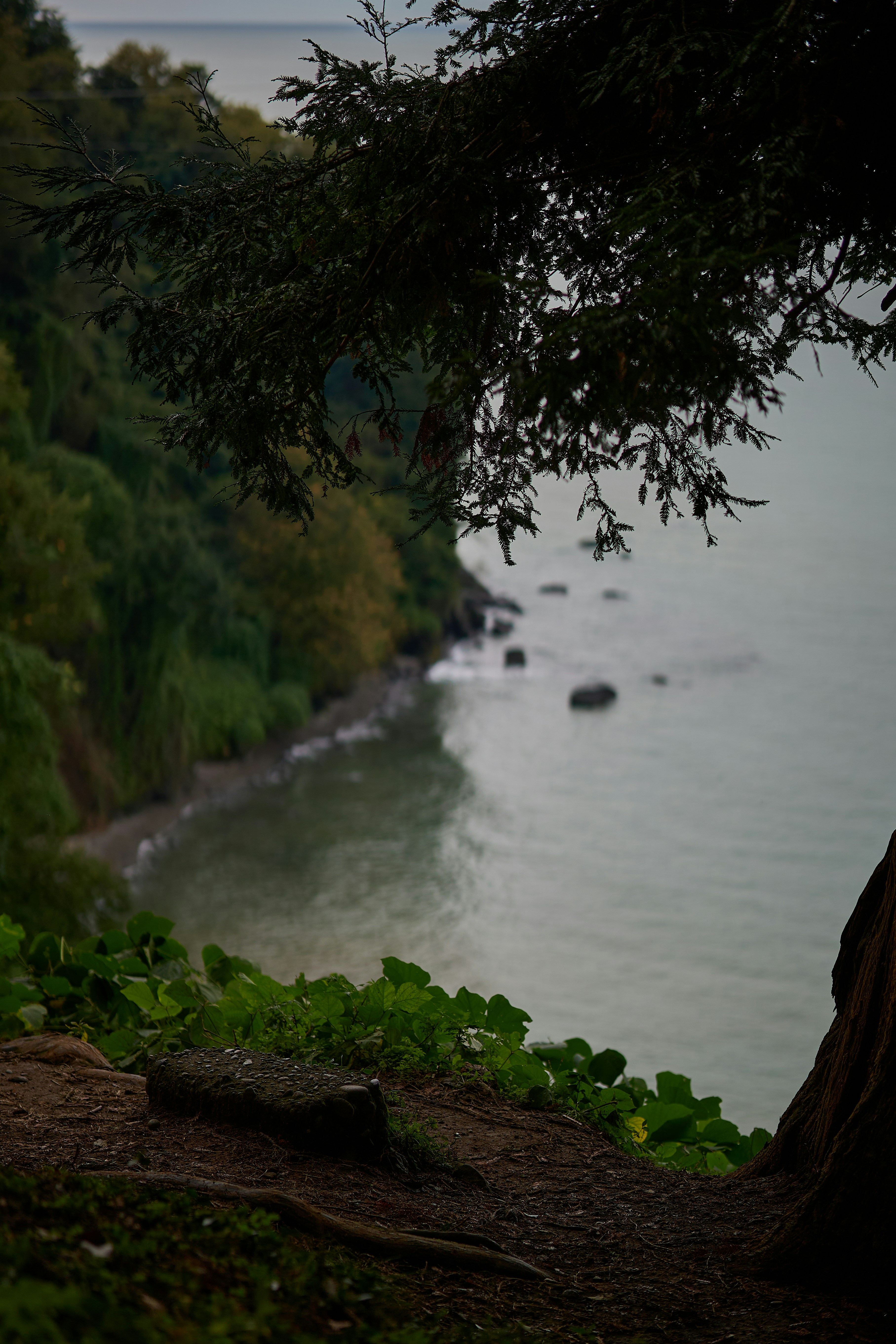 Photo by Karen Kasparov with Sony Alpha 6400