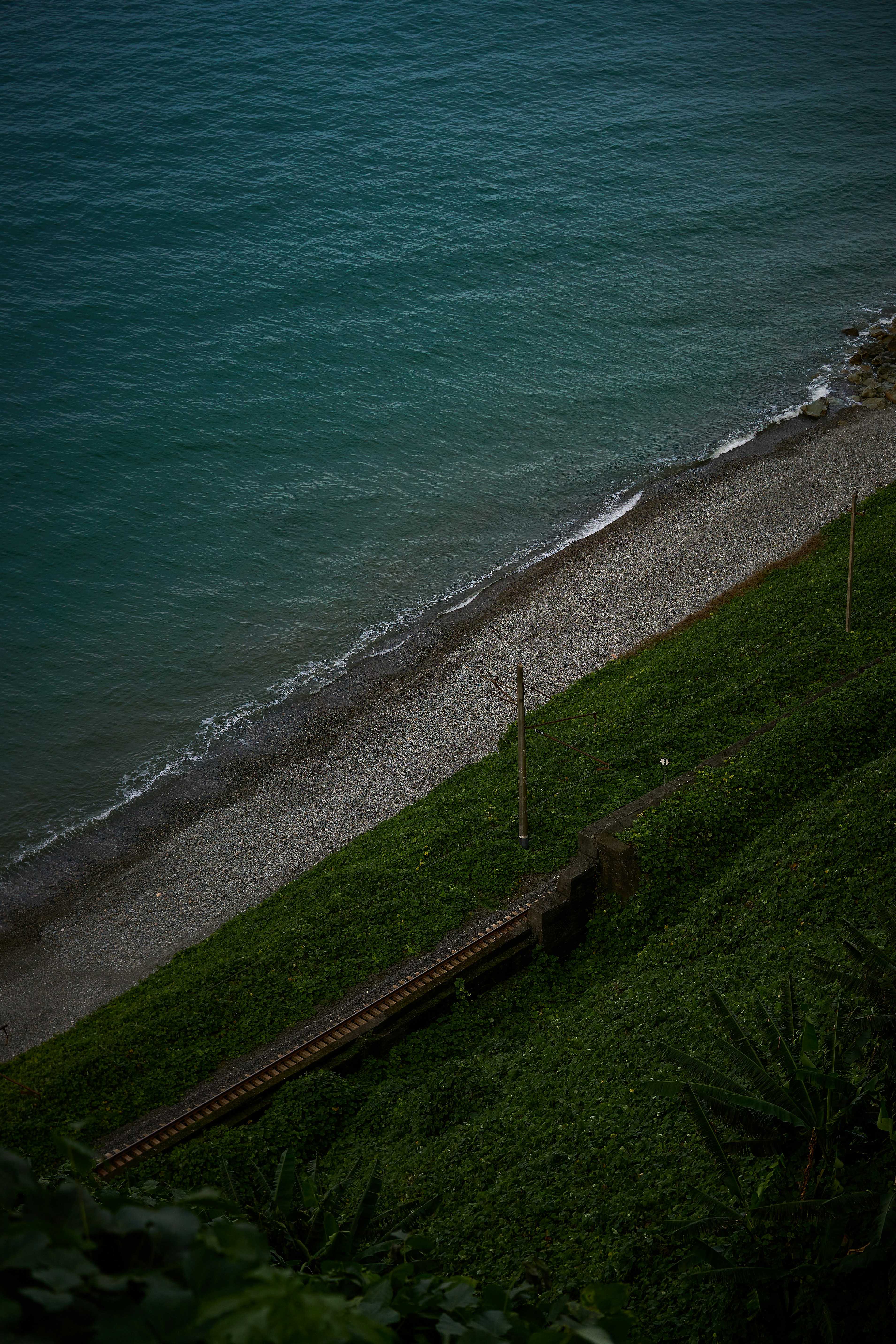Rails on a Verdant Slope by the Sea