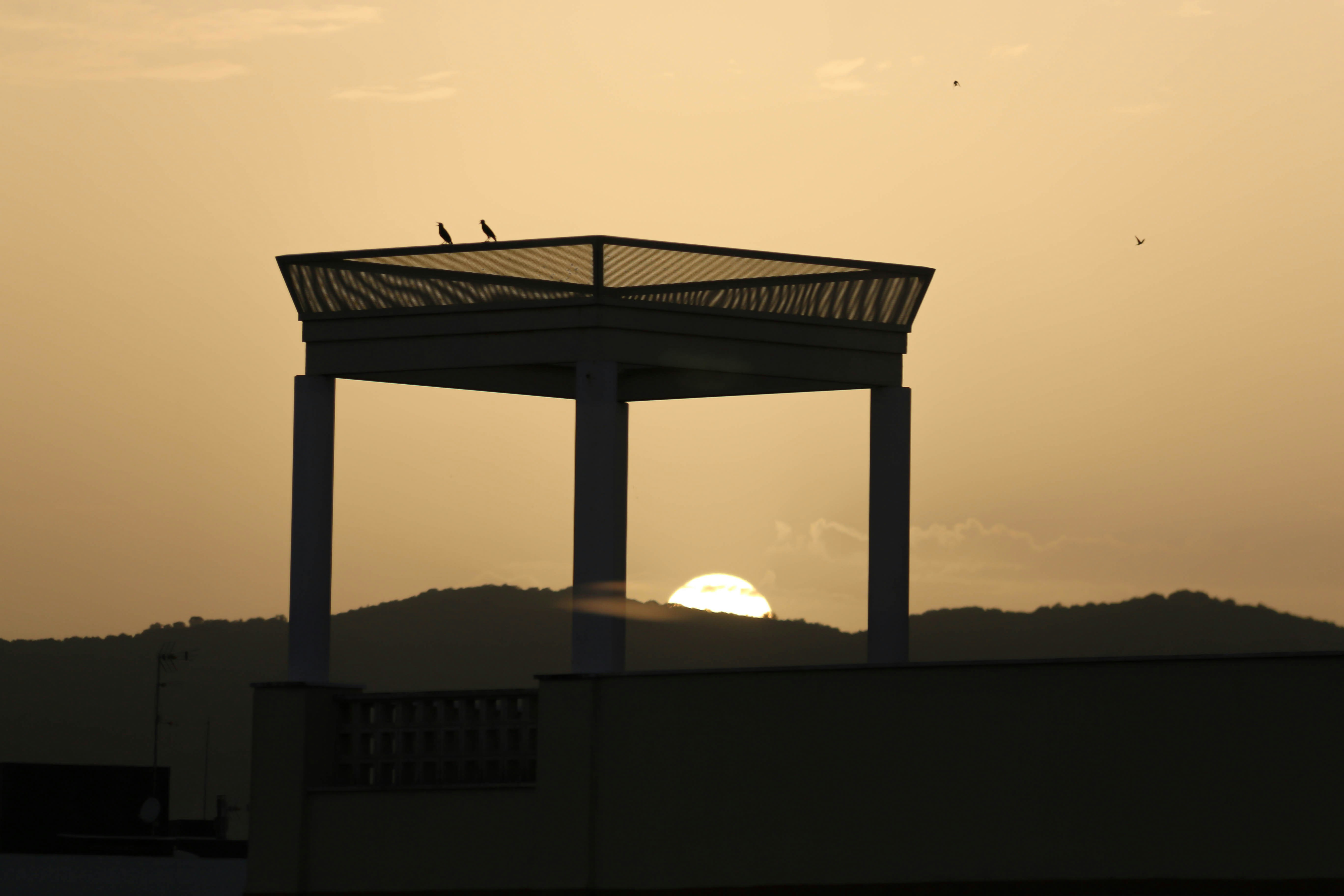 Sun Between Pillars: A Rooftop Silhouette at Dusk with Two Watchful Birds