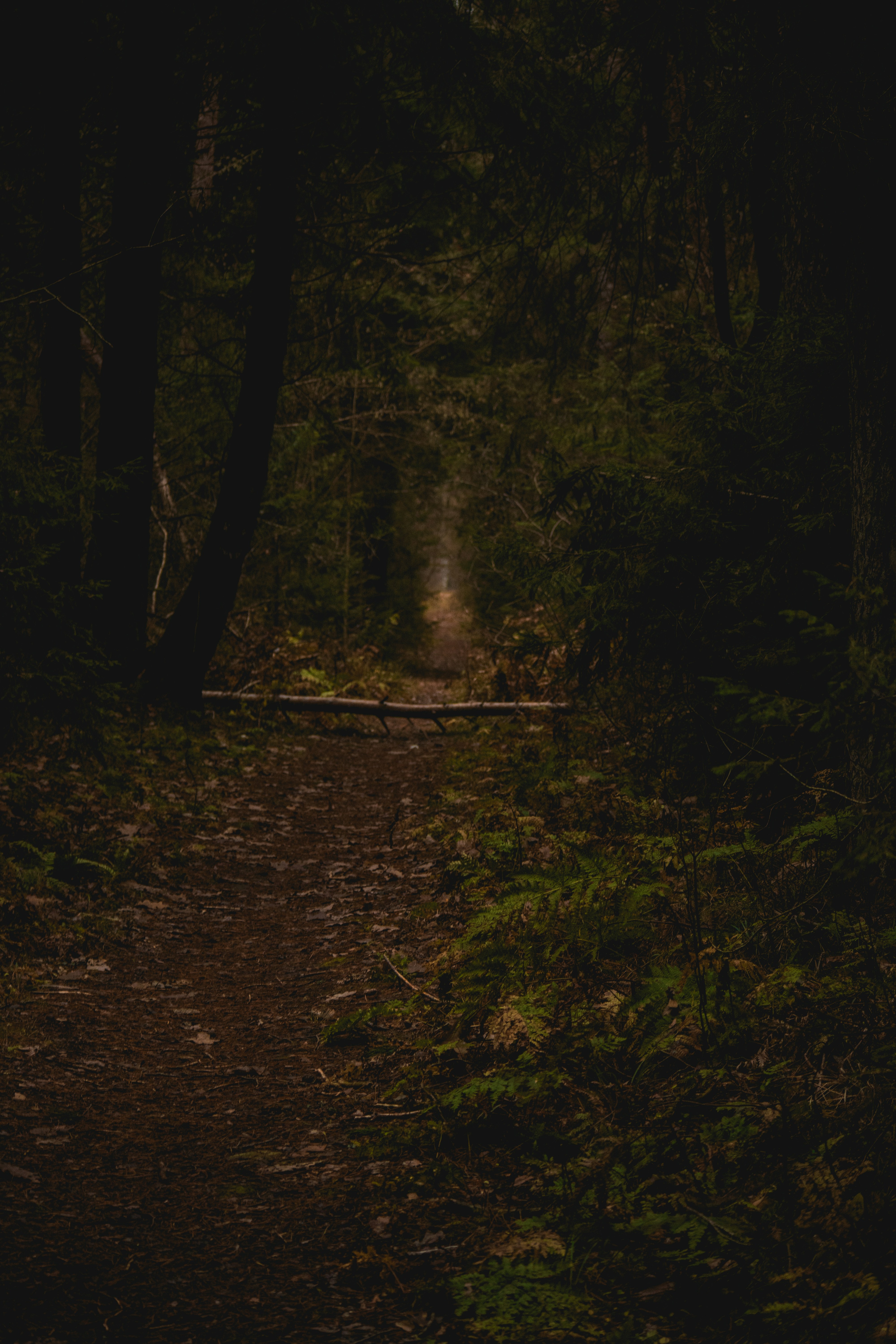 Photo by kub liz with Canon EOS M50 Mark II