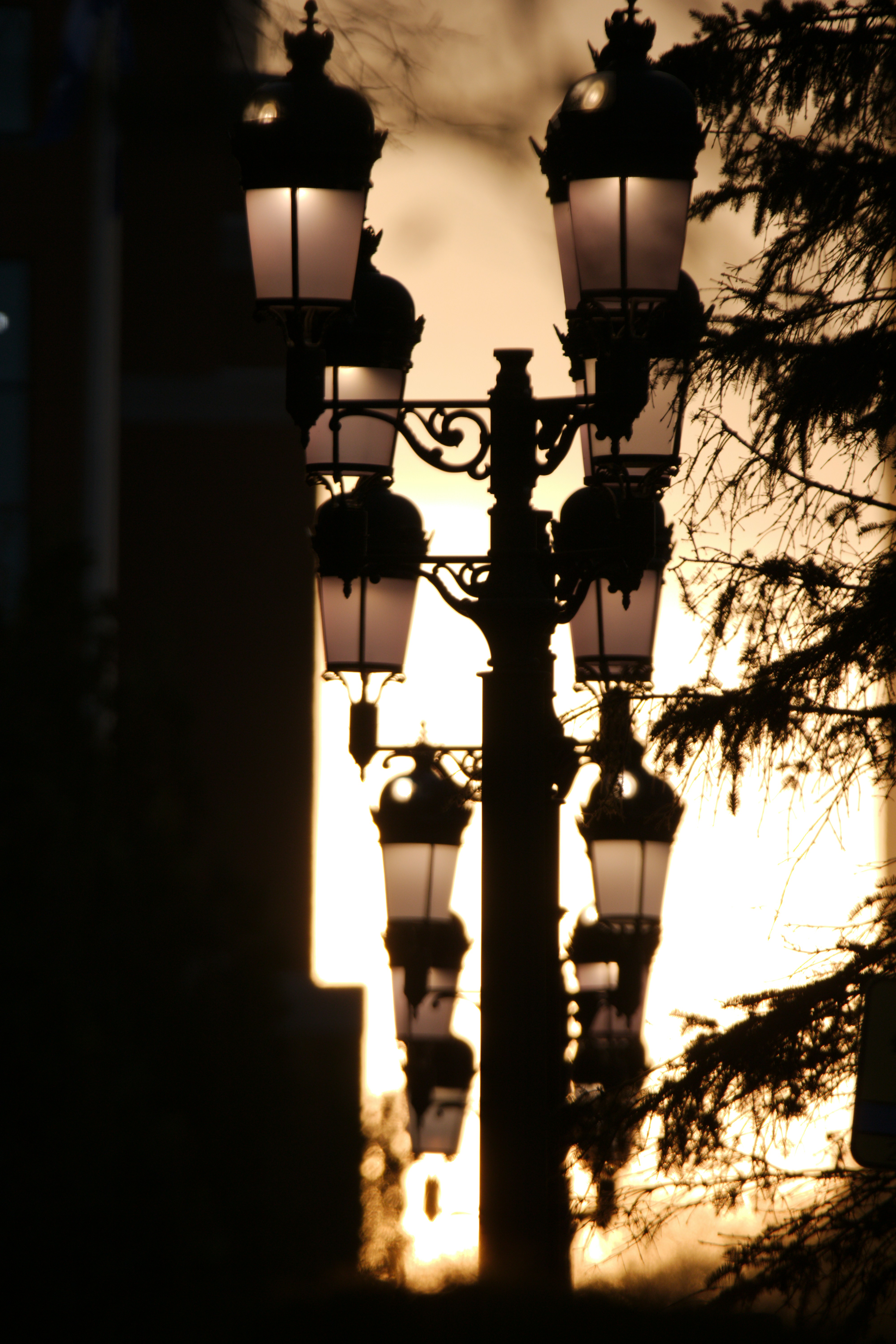 Backlit Lantern Boulevard: A Row of Ornate Streetlamps in Sunset Silhouette