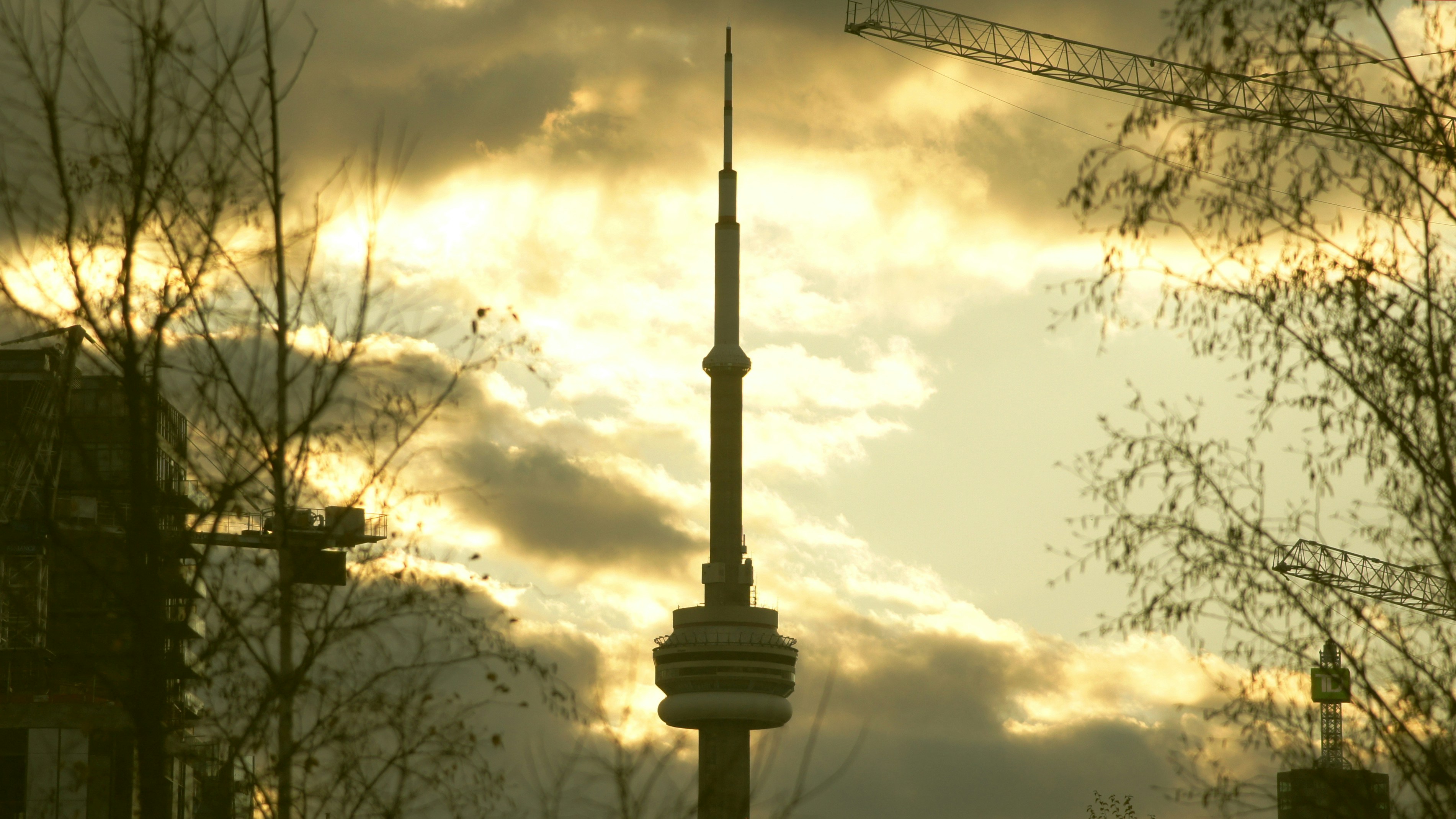 Dawn Over the City: Silhouette of a Tower Surrounded by Crane and Trees