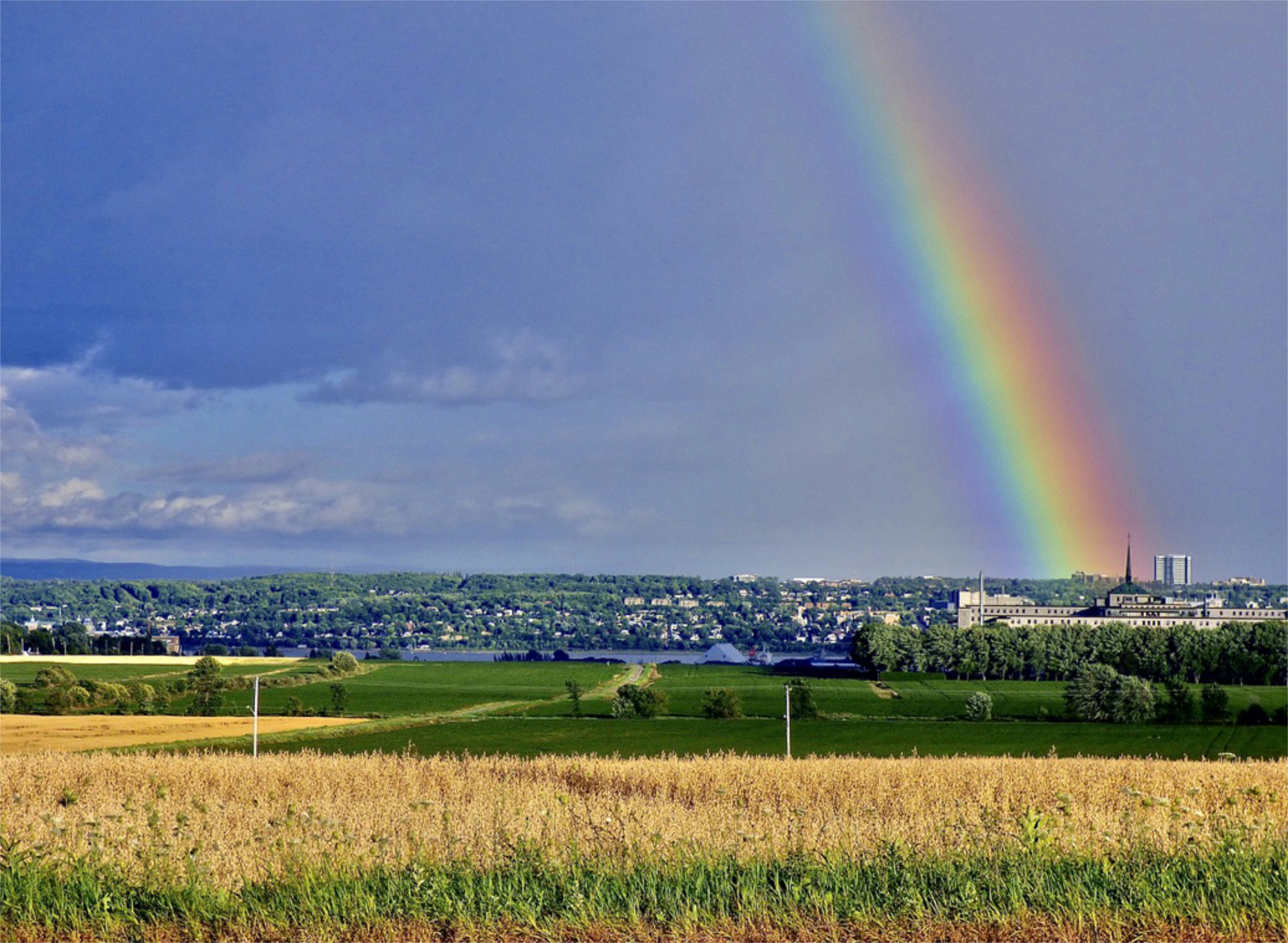 Rainbow arches over golden fields with a distant town on the horizon under a storm-darkened sky.