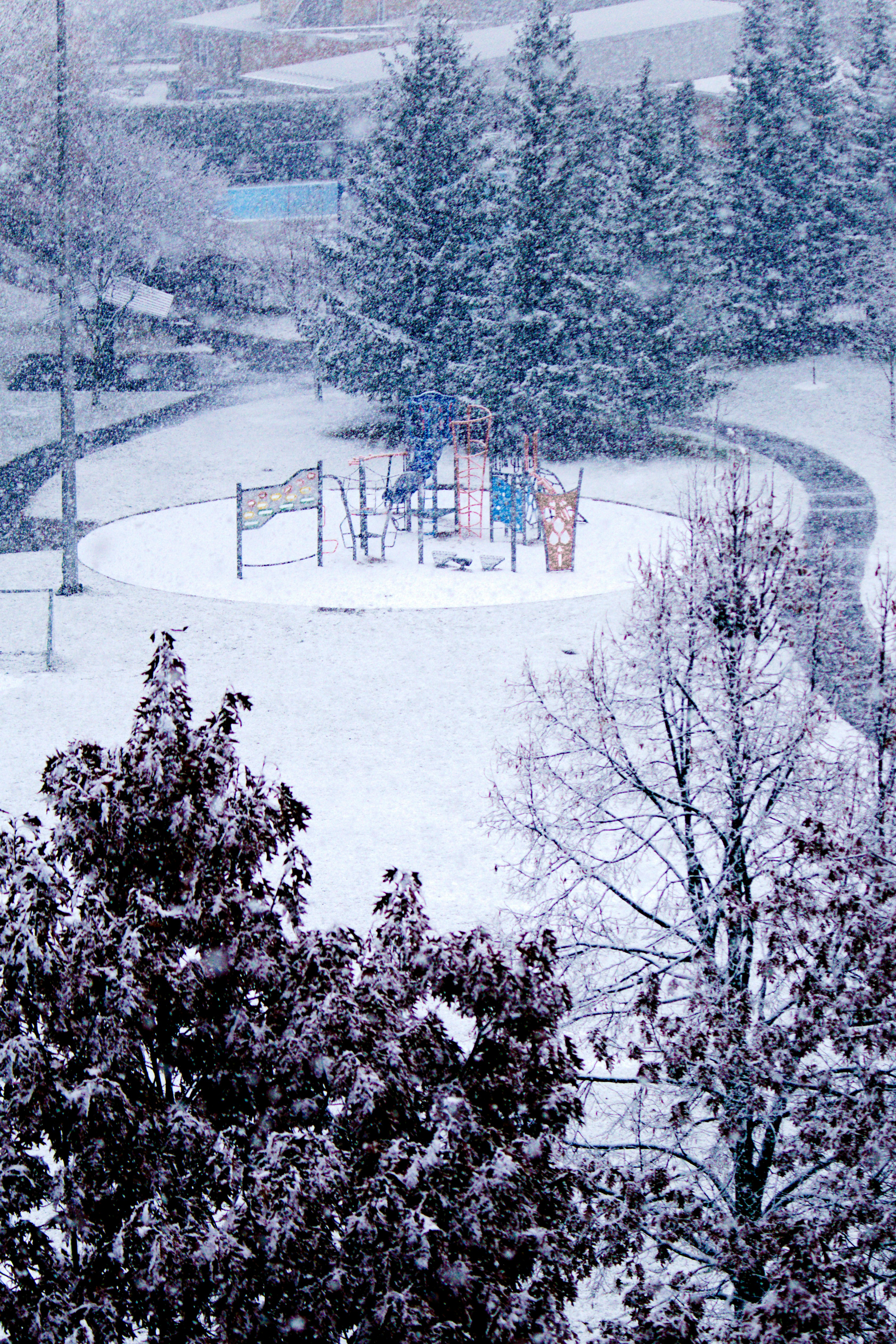 A snowy day at a park with a playground and trees photo – Free Vertical ...
