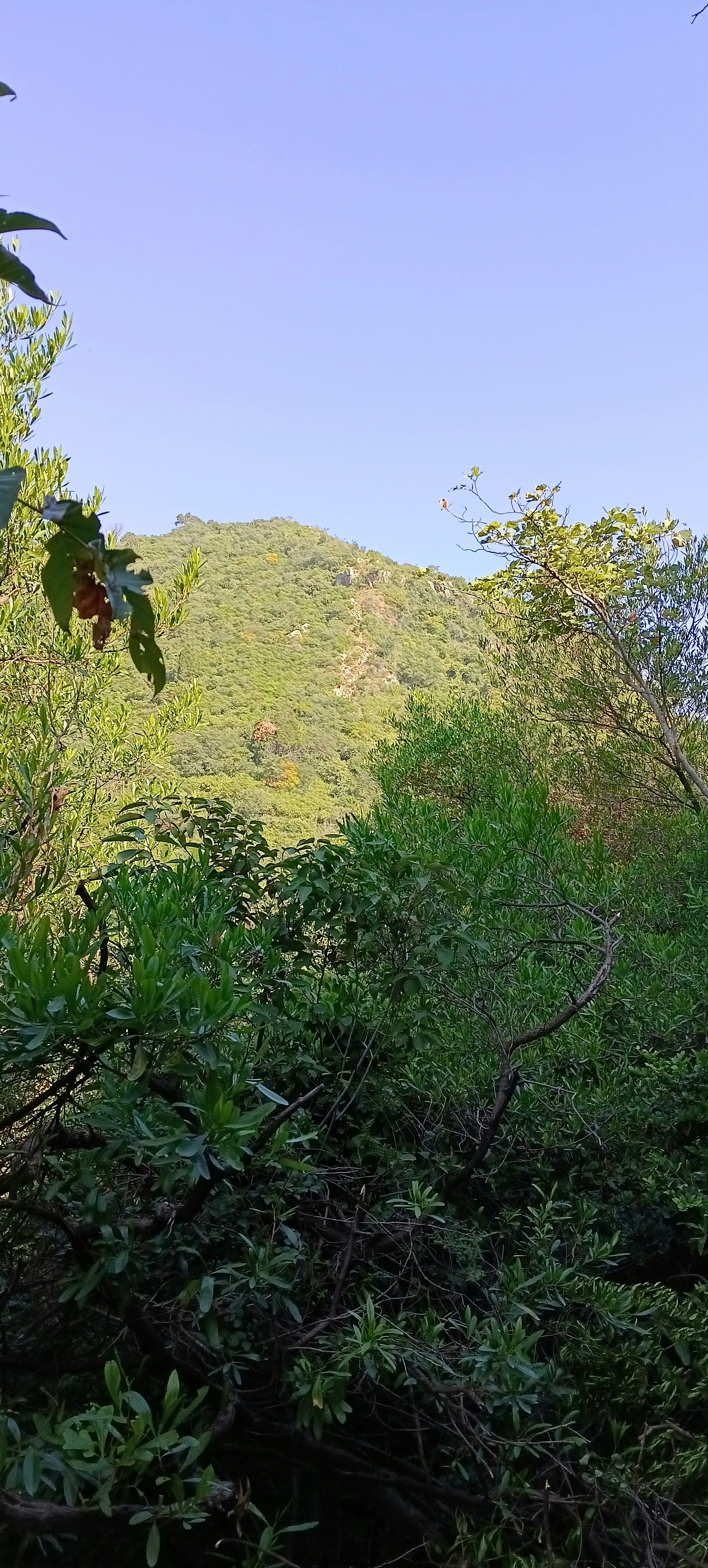 Sunlit Ridge Above a Green Carpet