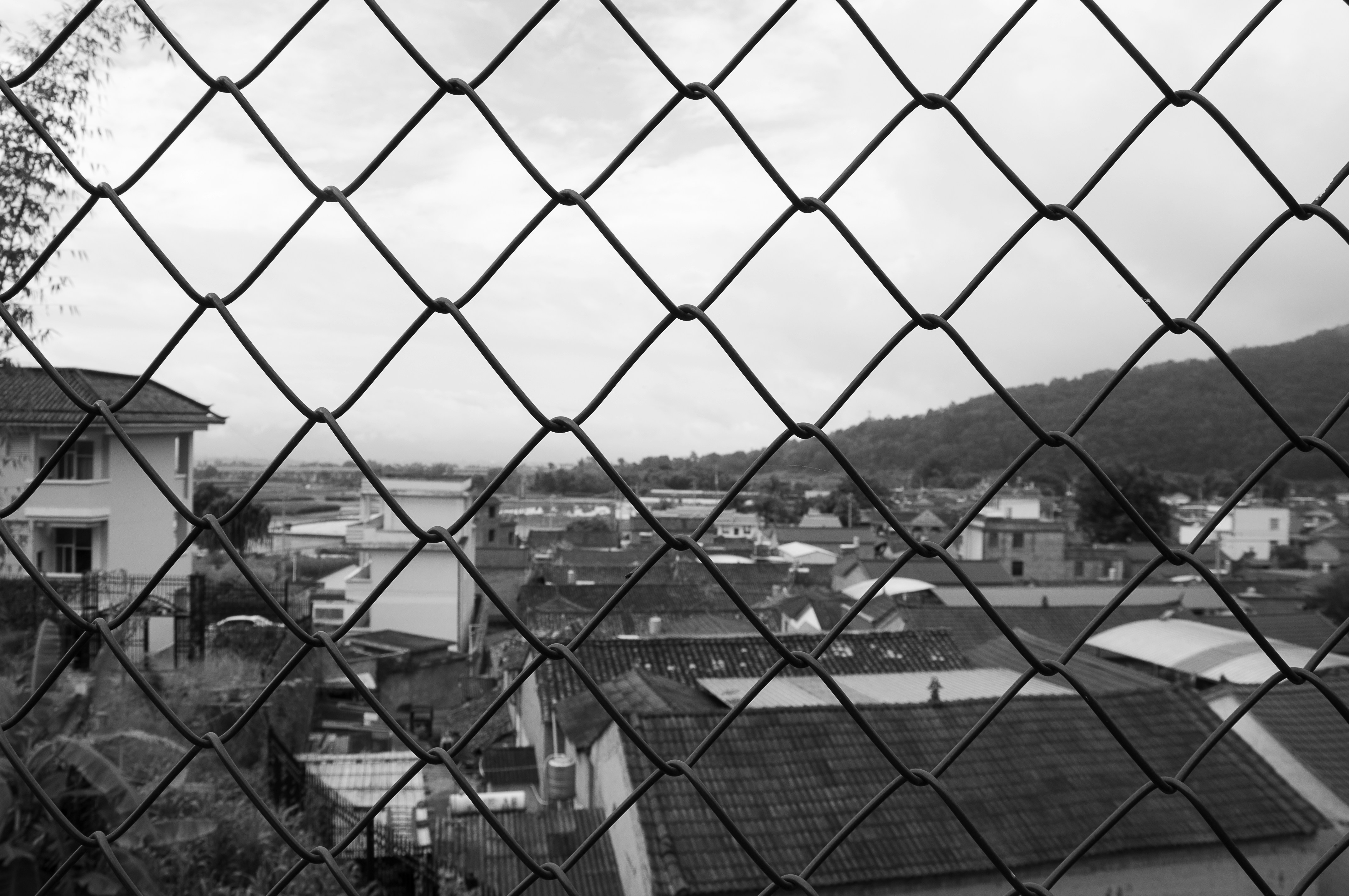 Rooftops Beyond the Diamond Veil: A Monochrome Cityscape