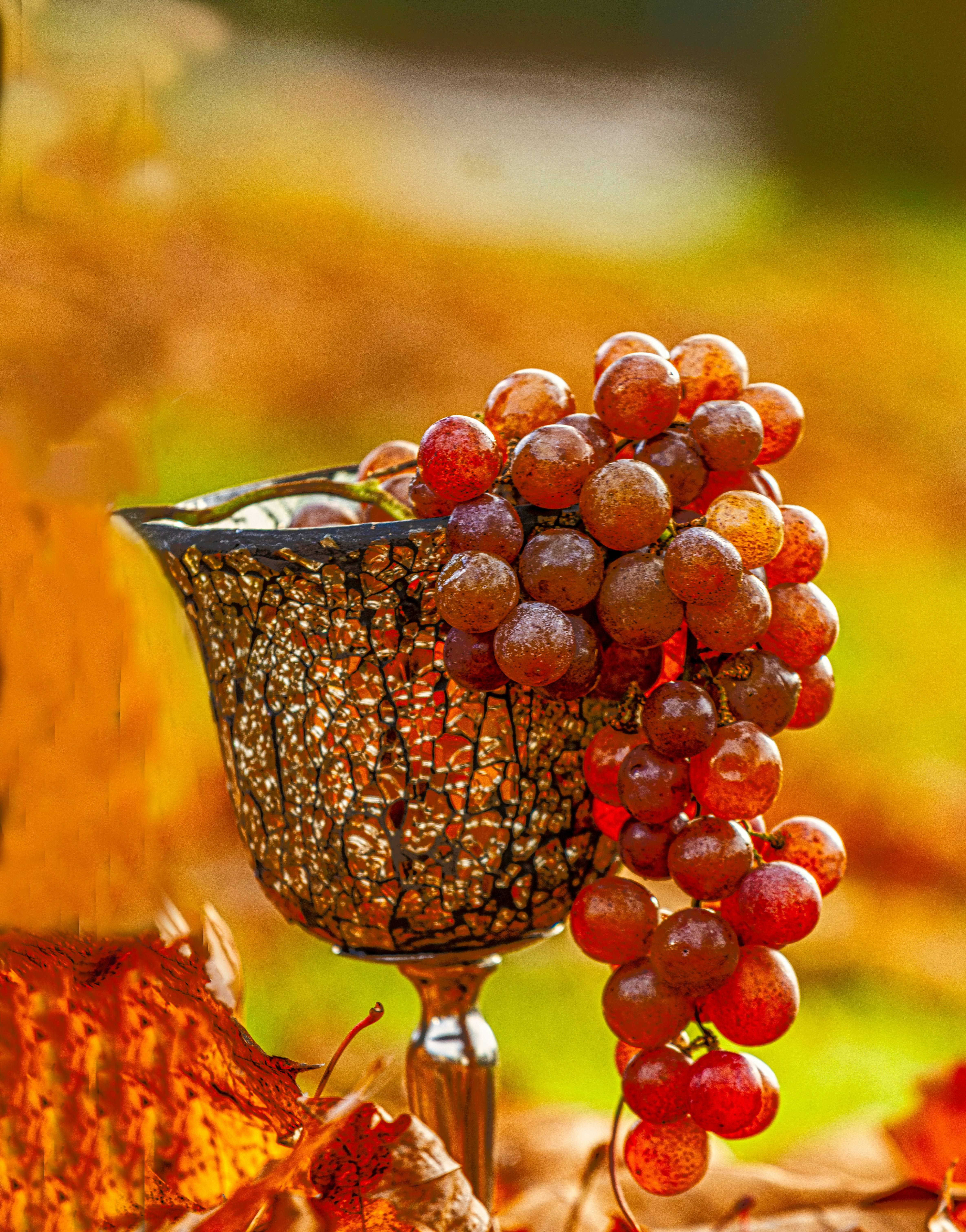 Crimson Grapes Draped Over a Woven Basket in Autumn Light