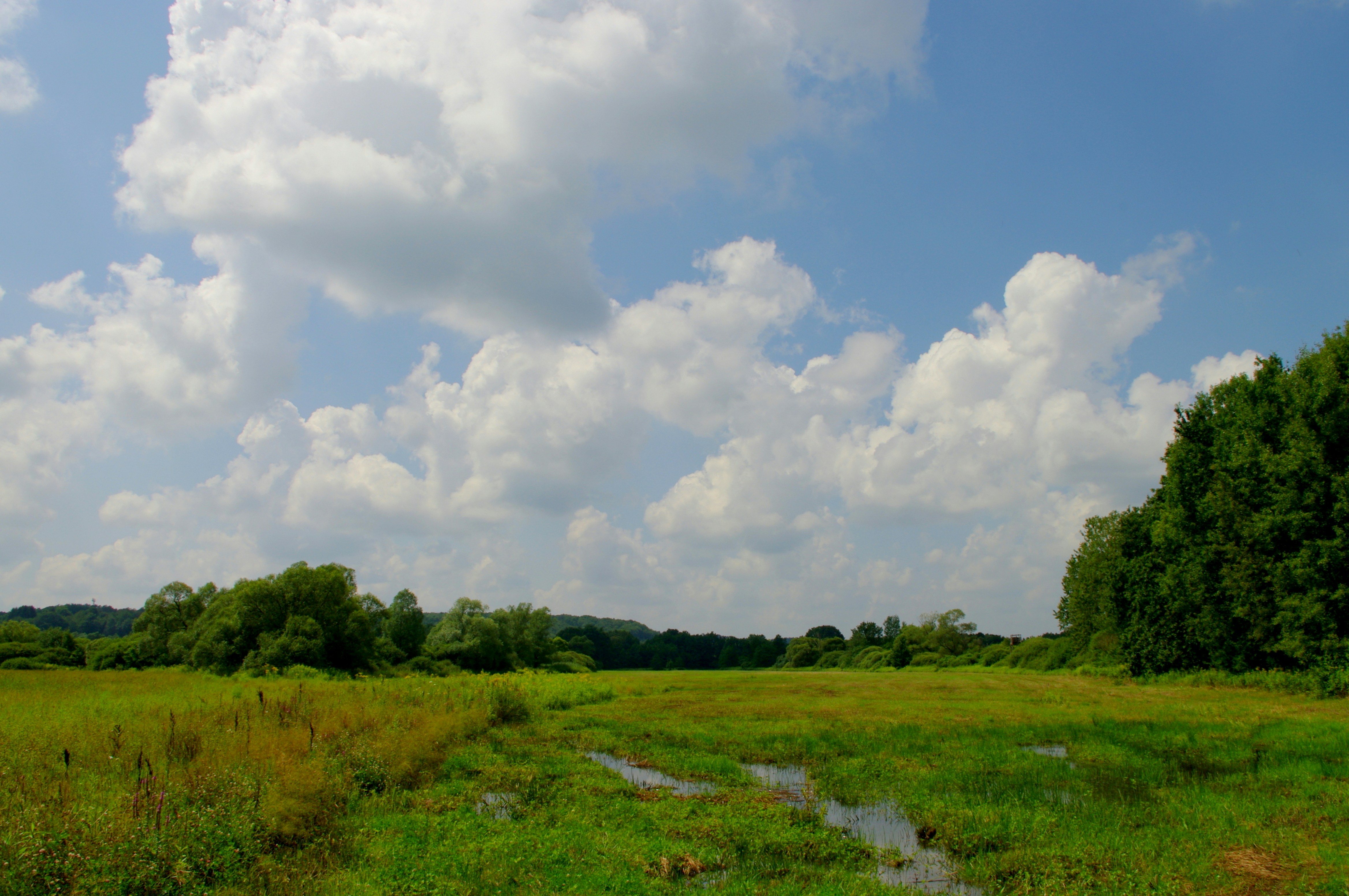 A grassy field with a stream running through it photo – Free Hungary ...