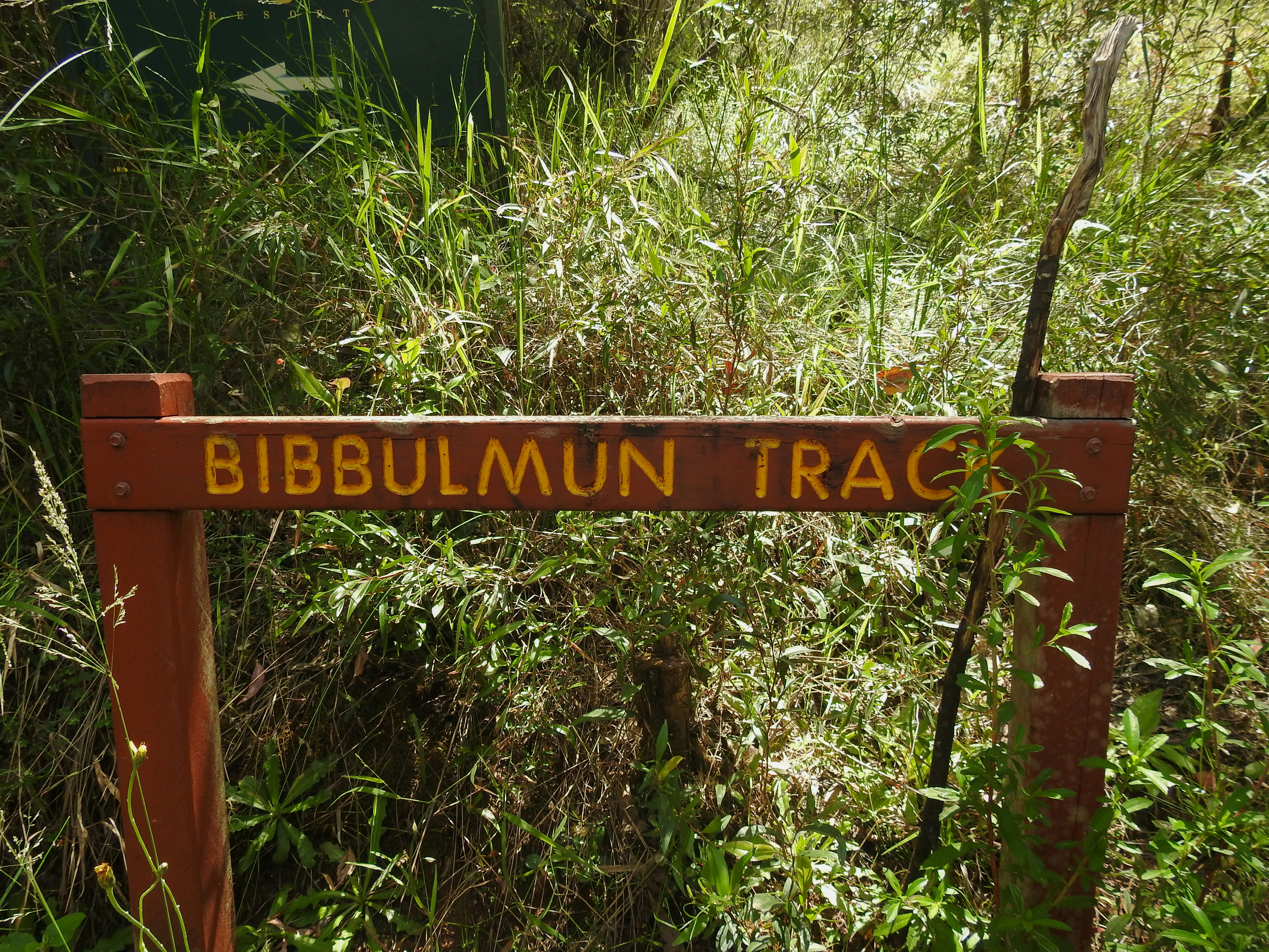 Trail Marker in Sunlit Underbrush